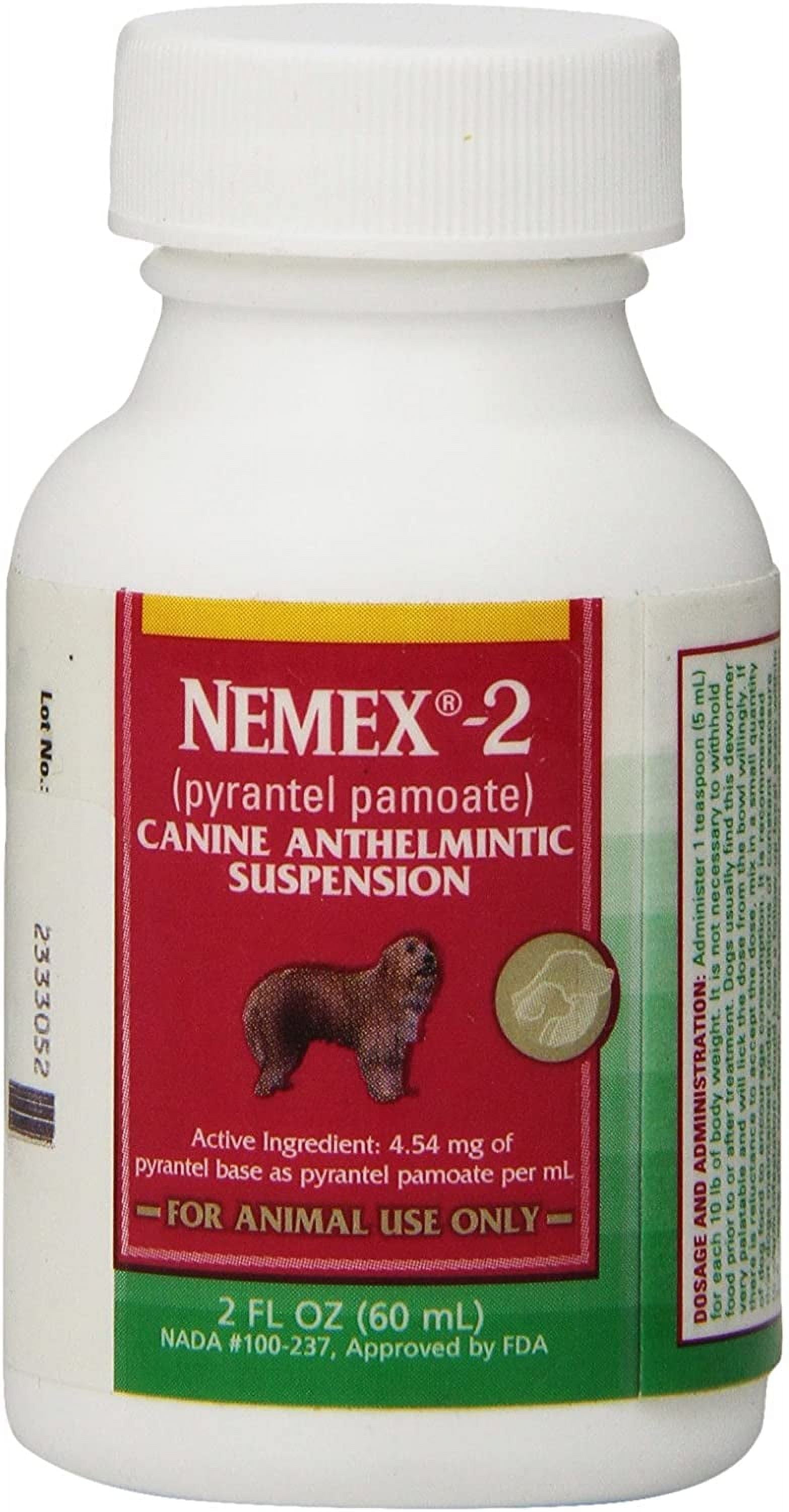Nemex Liquid Dog Dewormer, 2 oz, Treats Roundworms and Hookworms in ...
