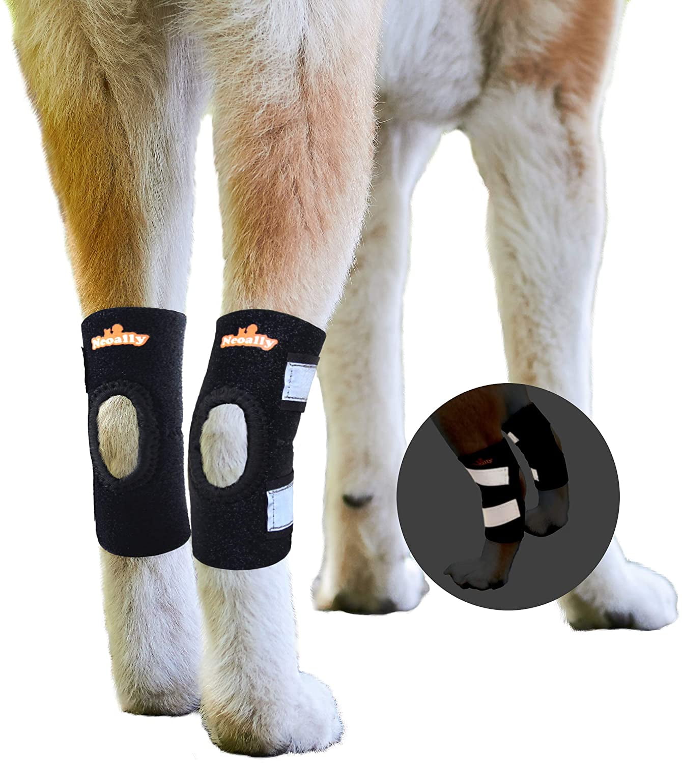 NeoAlly Dog Rear Leg Braces Ankle Support [Pair] Canine Hind Hock ...