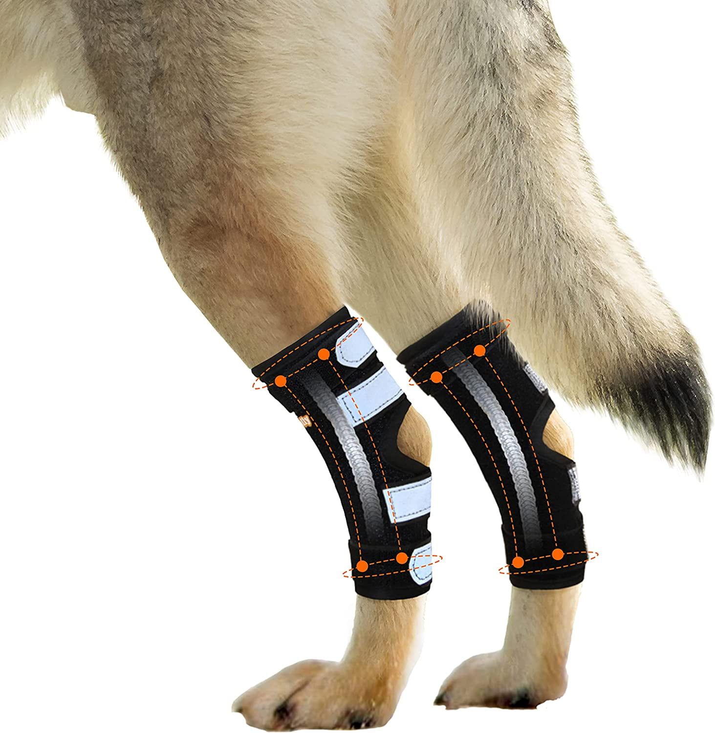 NeoAlly Super Supportive Dog Braces for Rear Legs and Hock Joints with ...