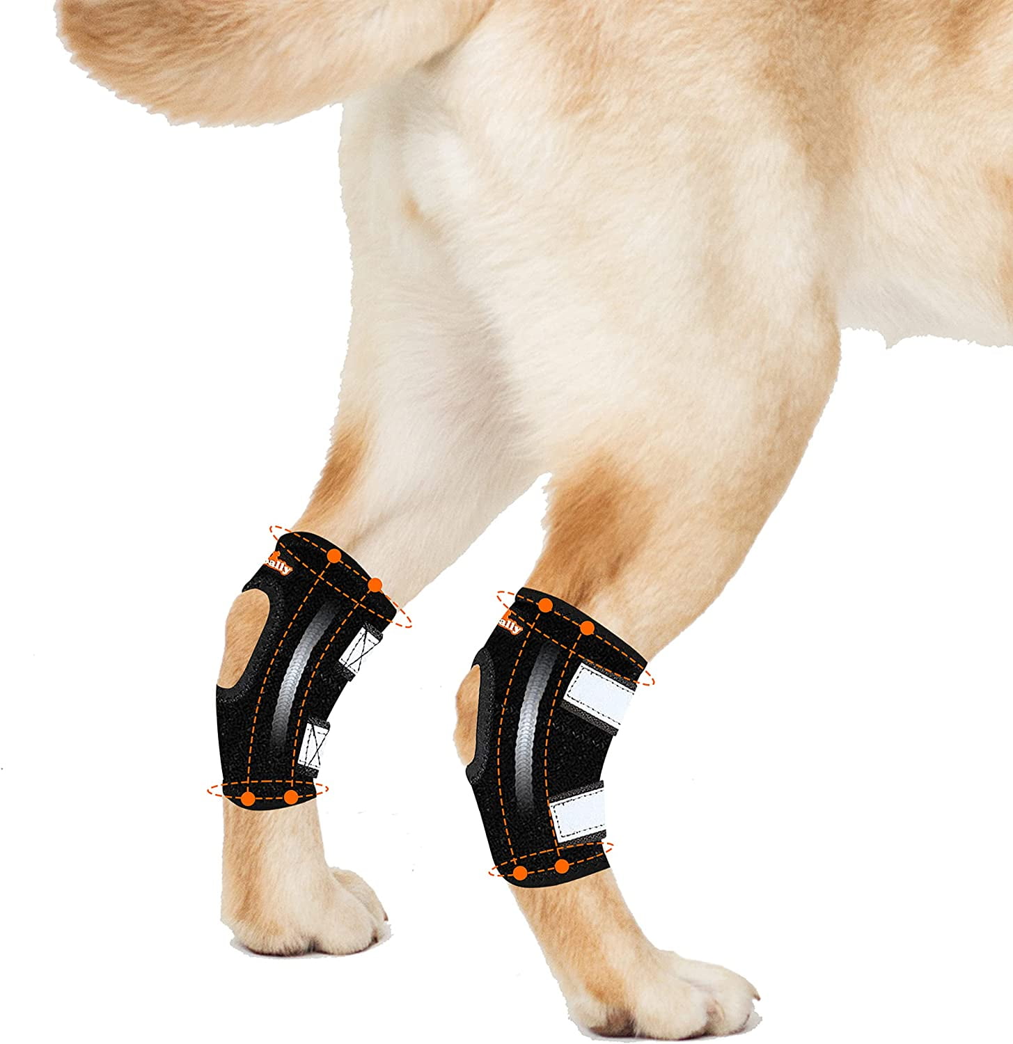 NeoAlly Dog Hock Brace with Dual Metal Spring Strips, Black, Large ...