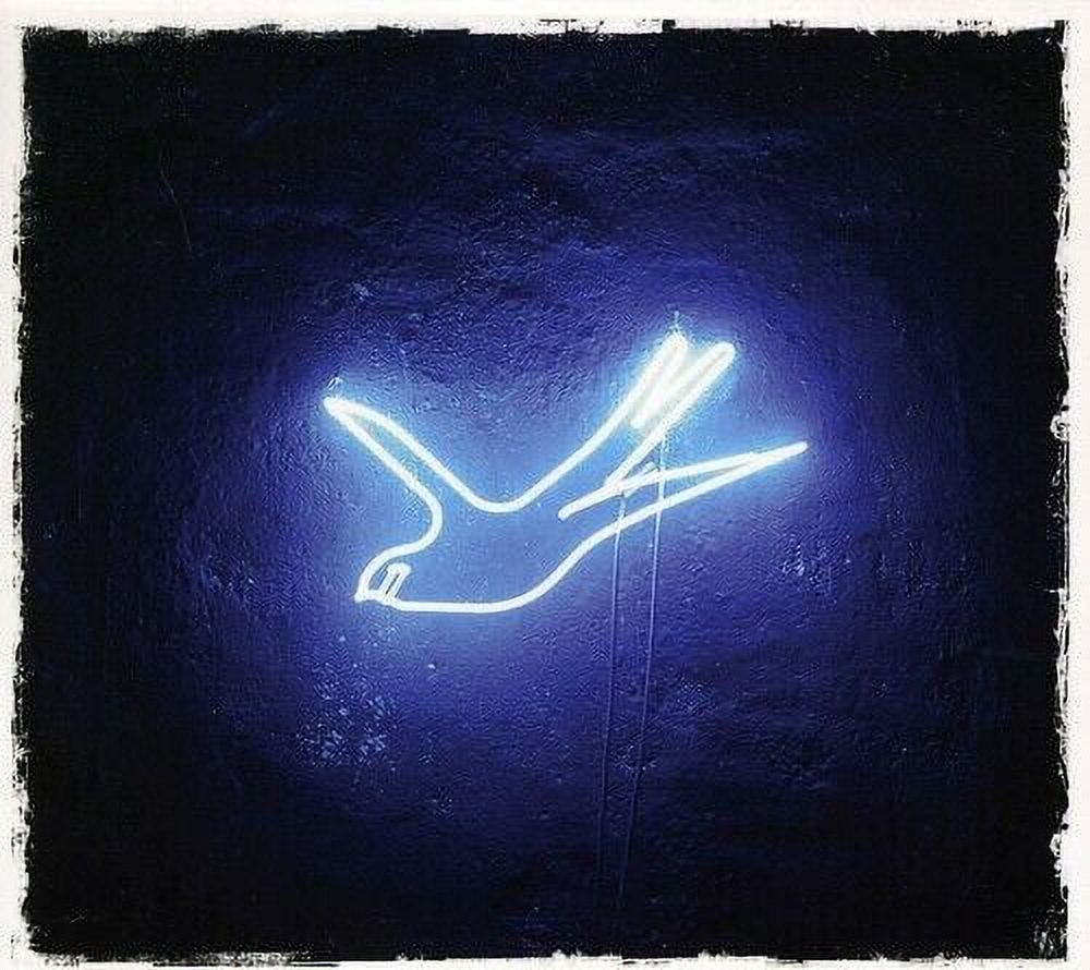 Pre-Owned - Neon Blue Bird by Ollabelle (CD, 2011) - Walmart.com