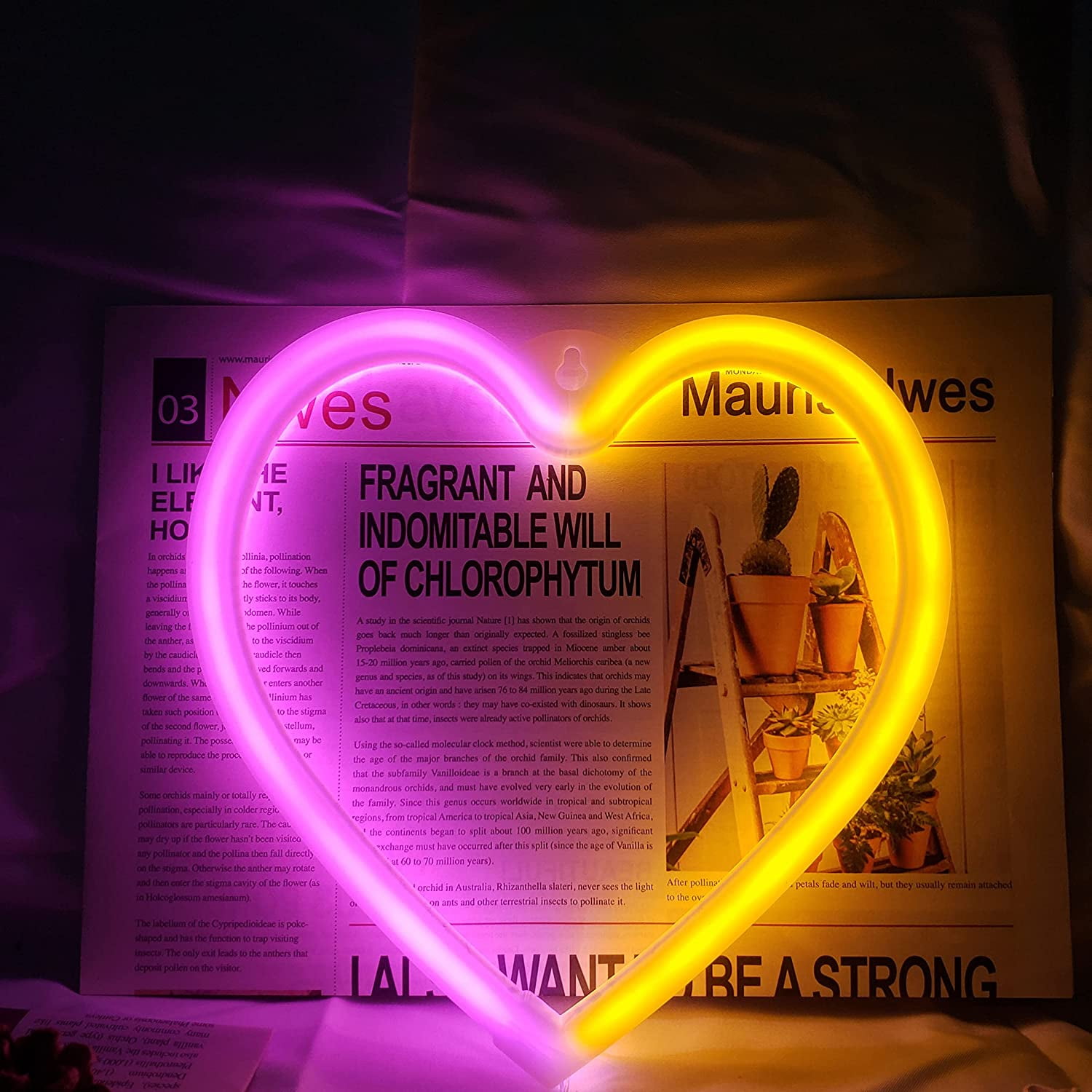 Neon Heart Light LED Neon Signs for Bedroom Wall Decor,Powered by USB ...