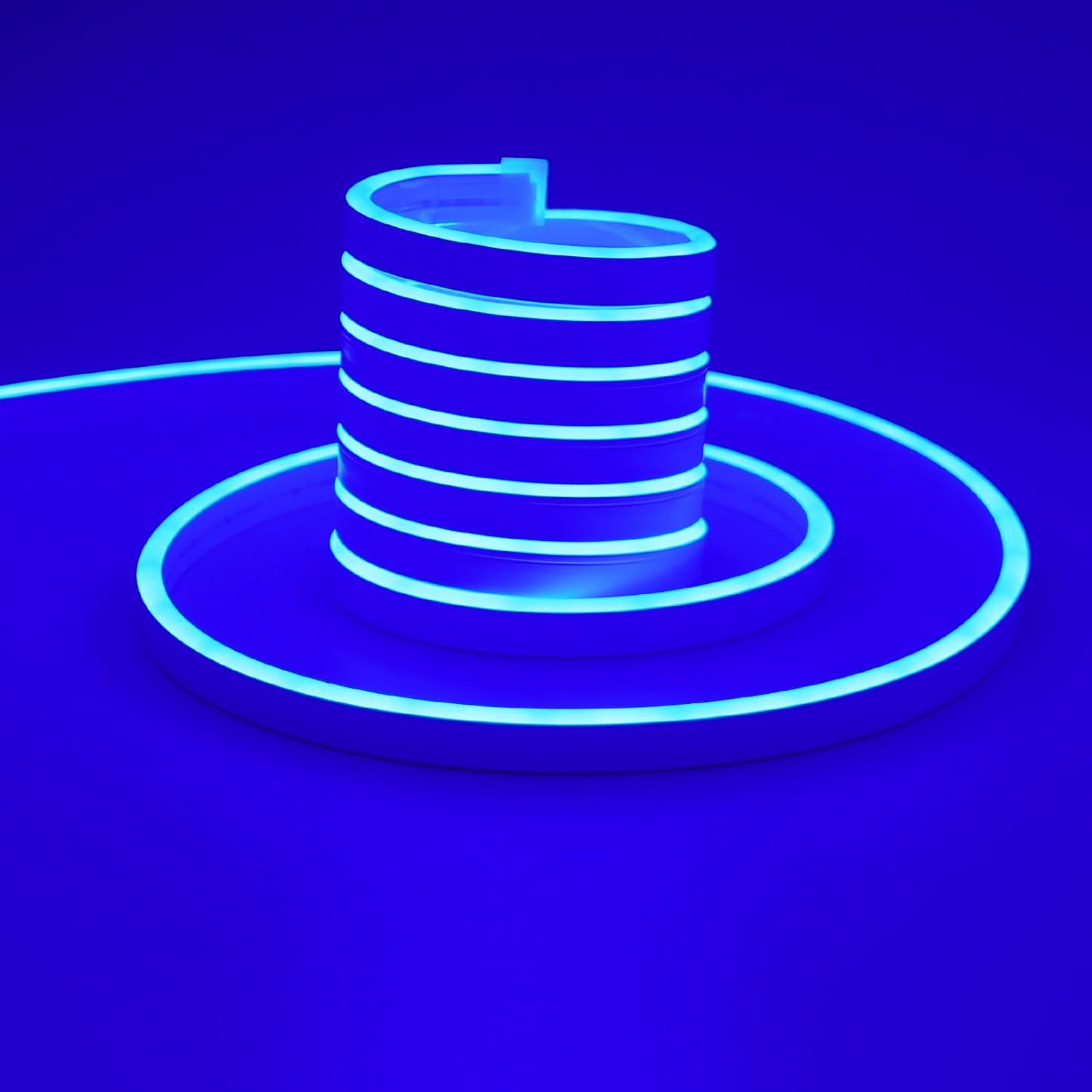 Neon LED Strip Lights, 12V Blue LED Strip Waterproof, 16.4ft/5M ...