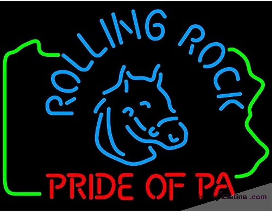 Neon Signs for Wall Decor 16x20inch P Ride Of Pa Custom Handmade Led ...