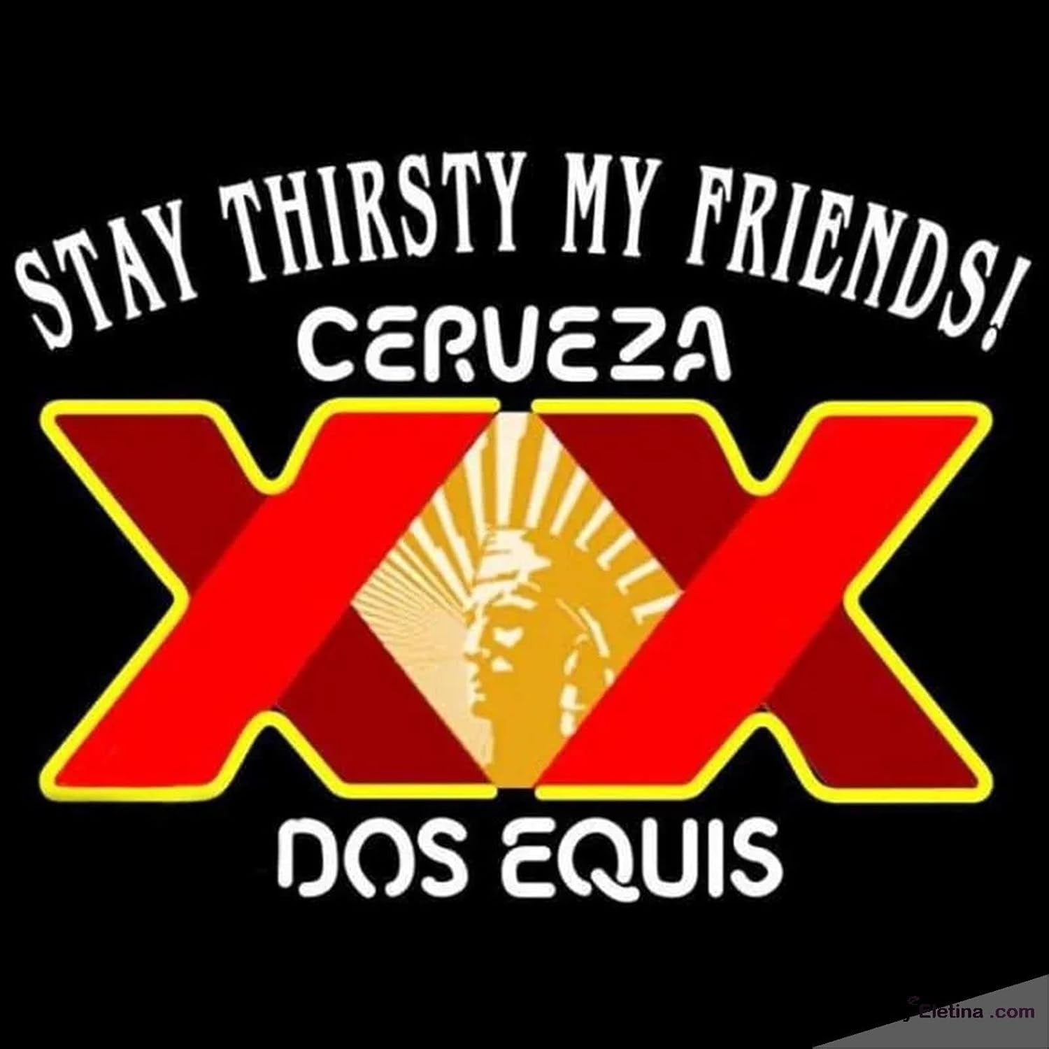 Neon Signs for Wall Decor Dos Equis Stay Thirsty Beer Sign Handmade Art ...