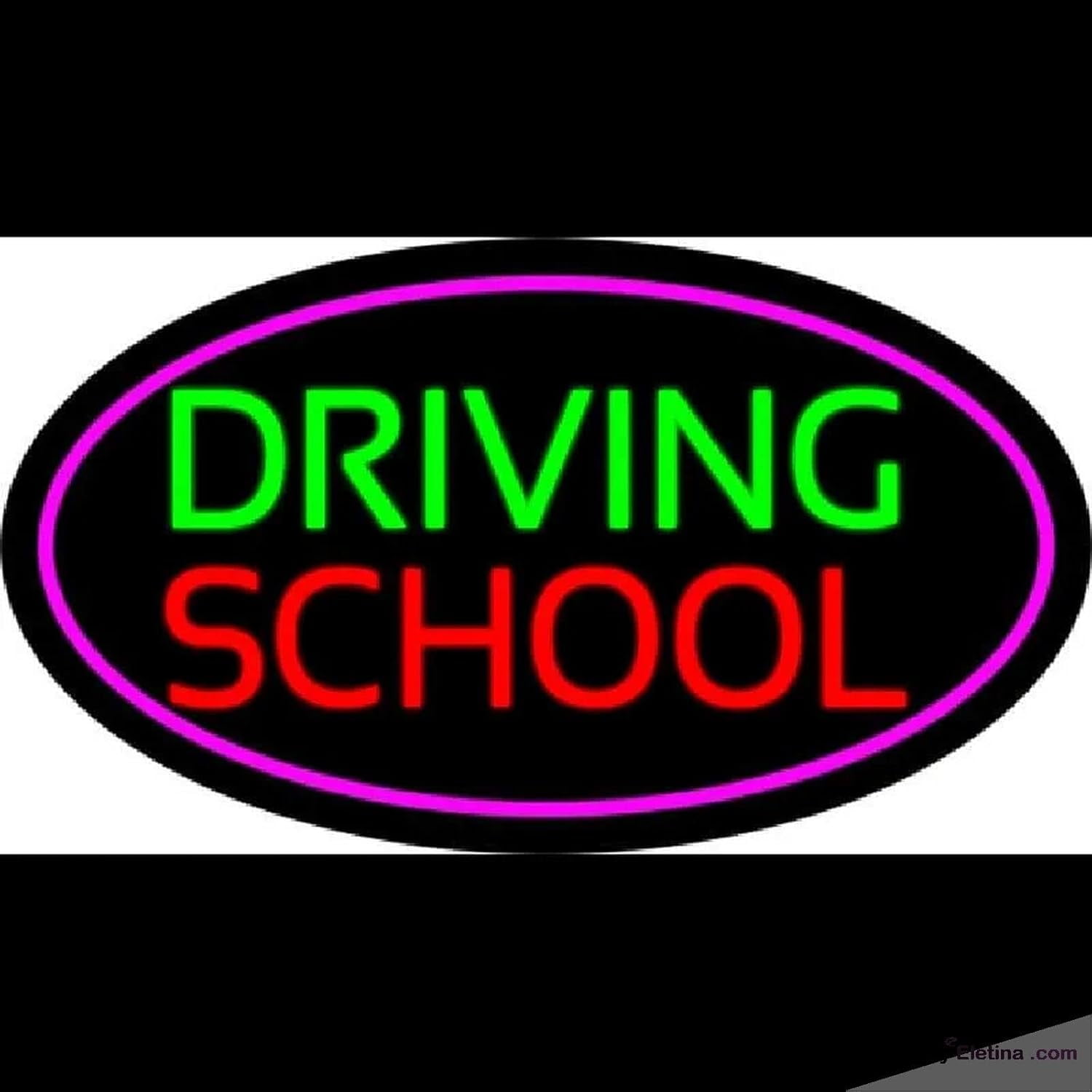 Neon Signs for Wall Decor Driving School Purple Oval Handmade Art Sign ...