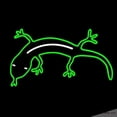 Neon Signs for Wall Decor Gecko Handmade Art Sign Neon Led ...