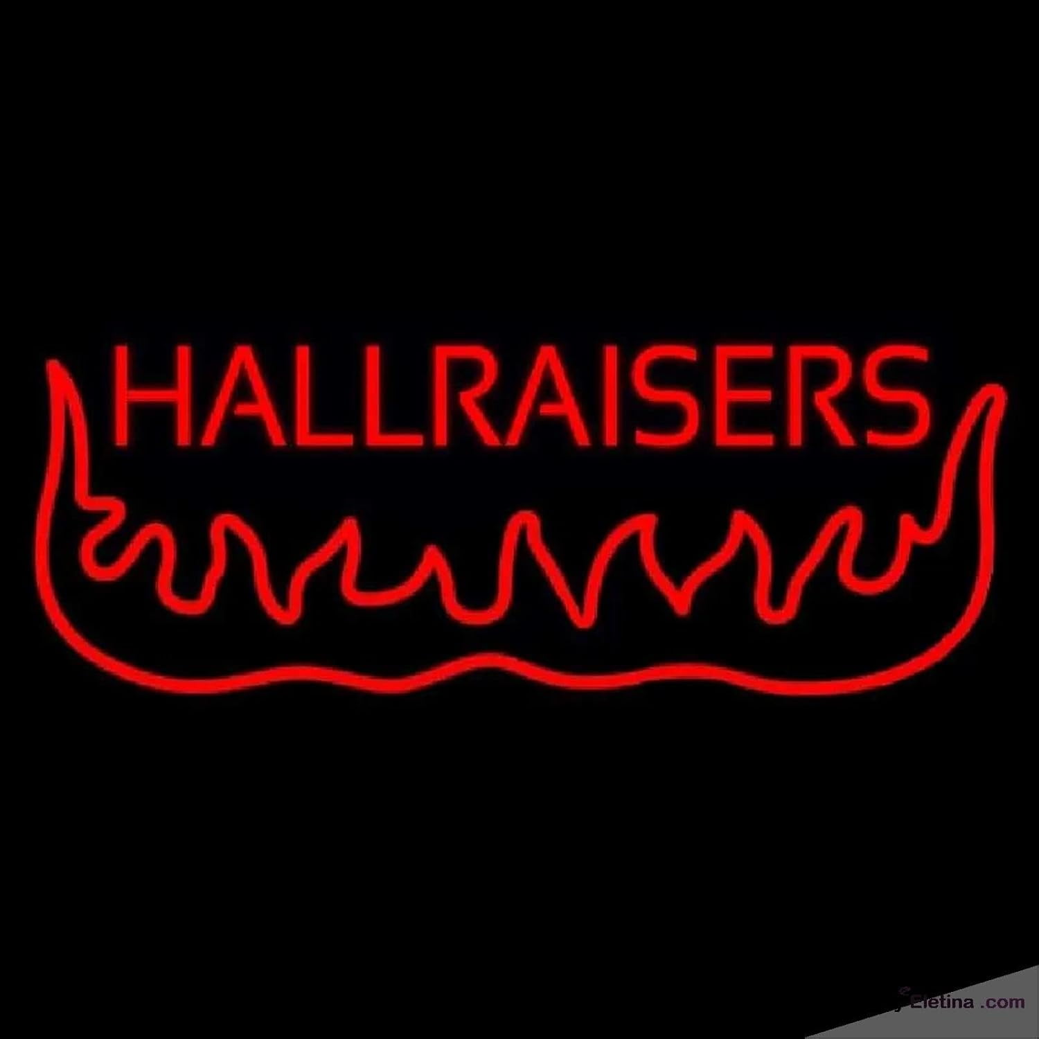 Neon Signs for Wall Decor Hell Raisers Handmade Art Sign Neon Led ...
