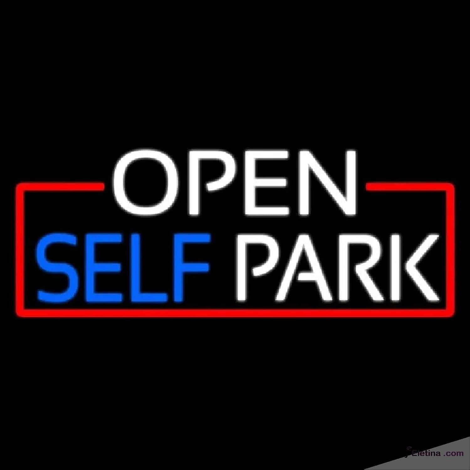 Neon Signs for Wall Decor Open Self Park With Red Border Handmade Art ...