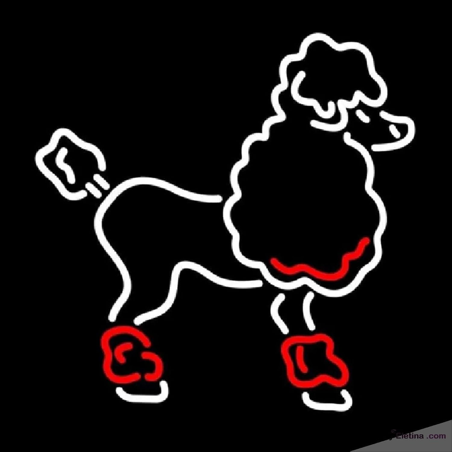 Neon Signs for Wall Decor Poodle Handmade Art Sign Neon Led Tubing ...