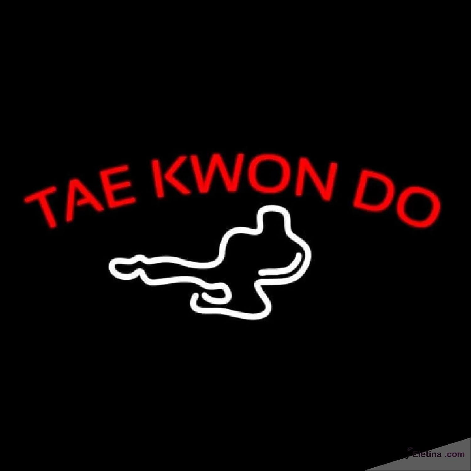 Neon Signs for Wall Decor Tae Kwon Do Logo Handmade Art Sign Neon Led ...