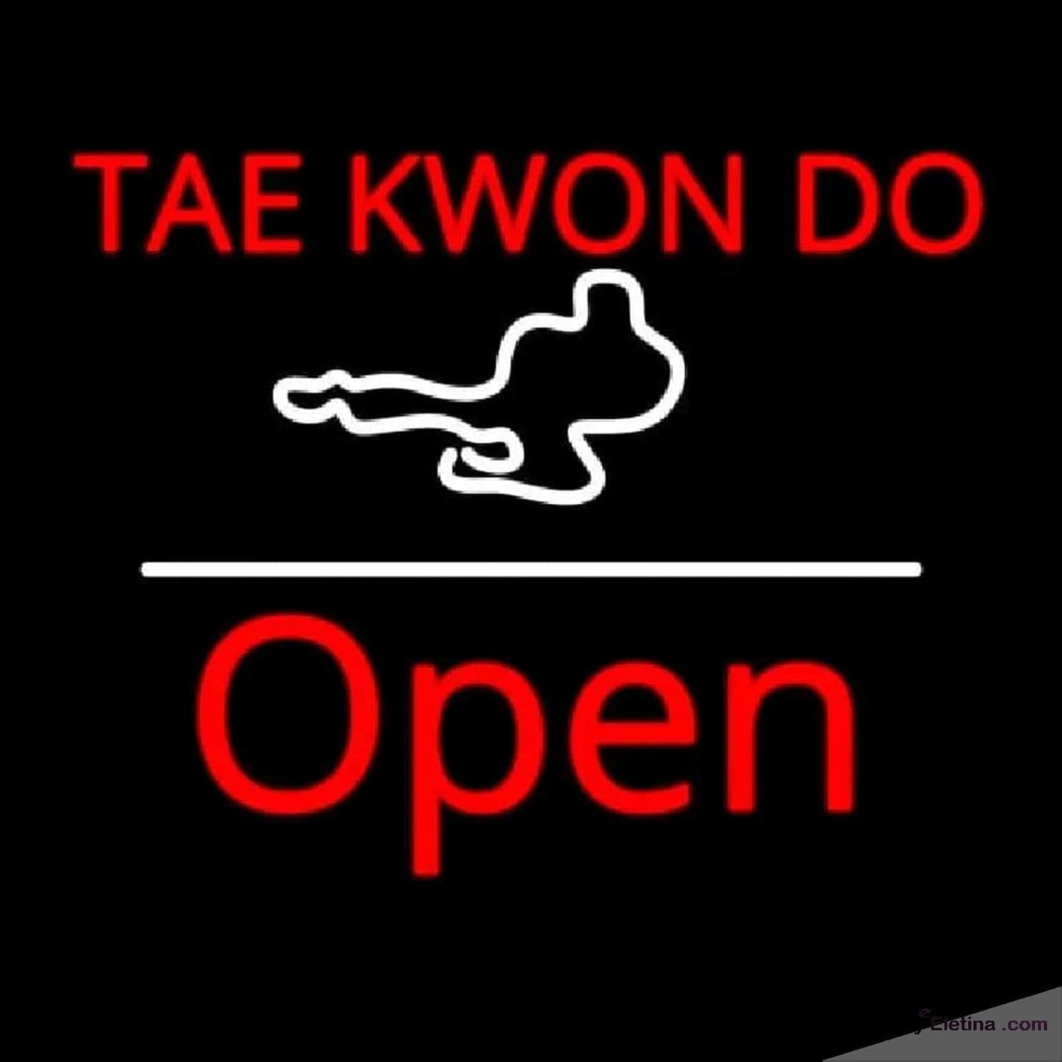 Neon Signs for Wall Decor Tae Kwon Do Logo Script Open White Line ...