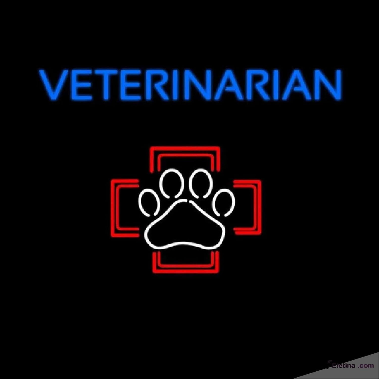 Neon Signs for Wall Decor Veterinarian Handmade Art Sign Neon Led ...
