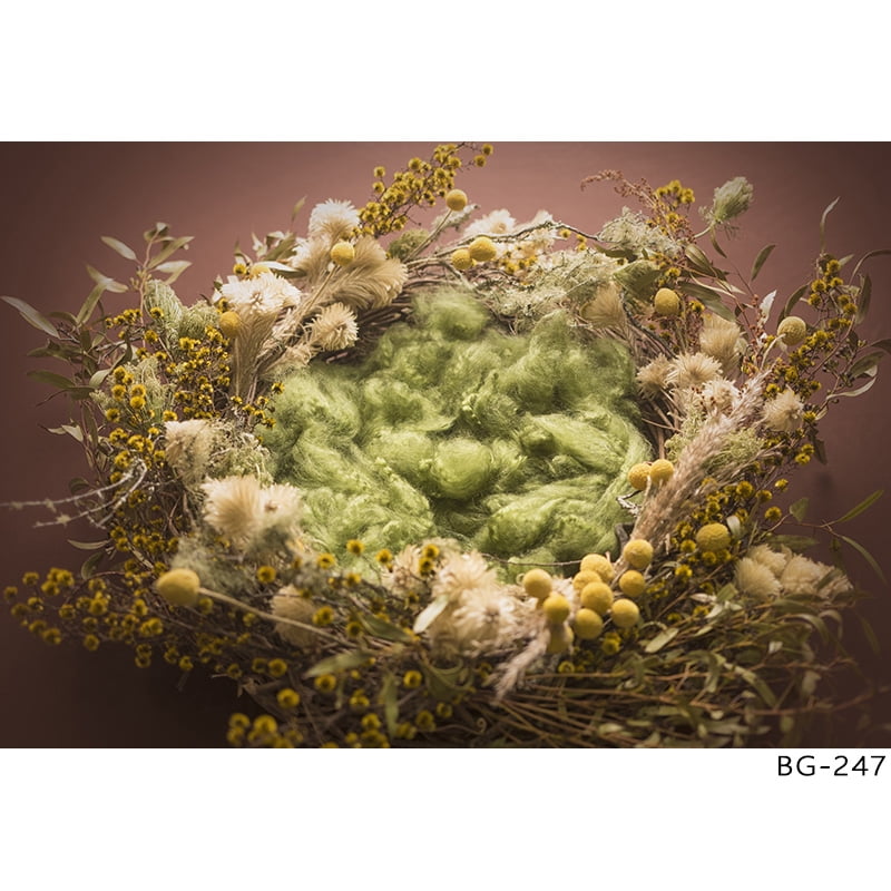 Neonatal Portrait Photography Background Flowers Swing Birthday Art ...