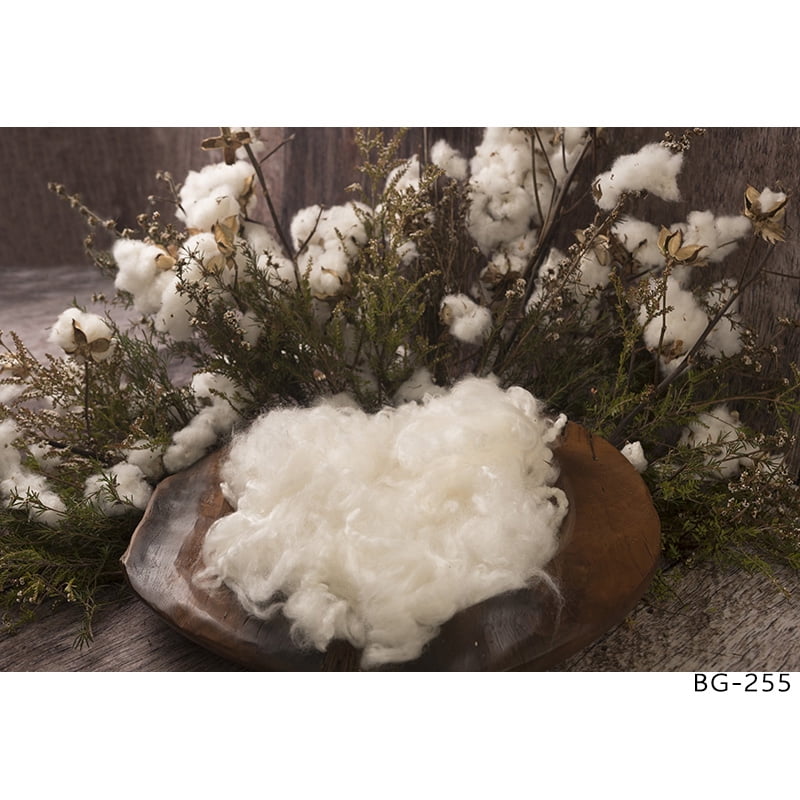 Neonatal Portrait Photography Background Flowers Swing Birthday Art ...