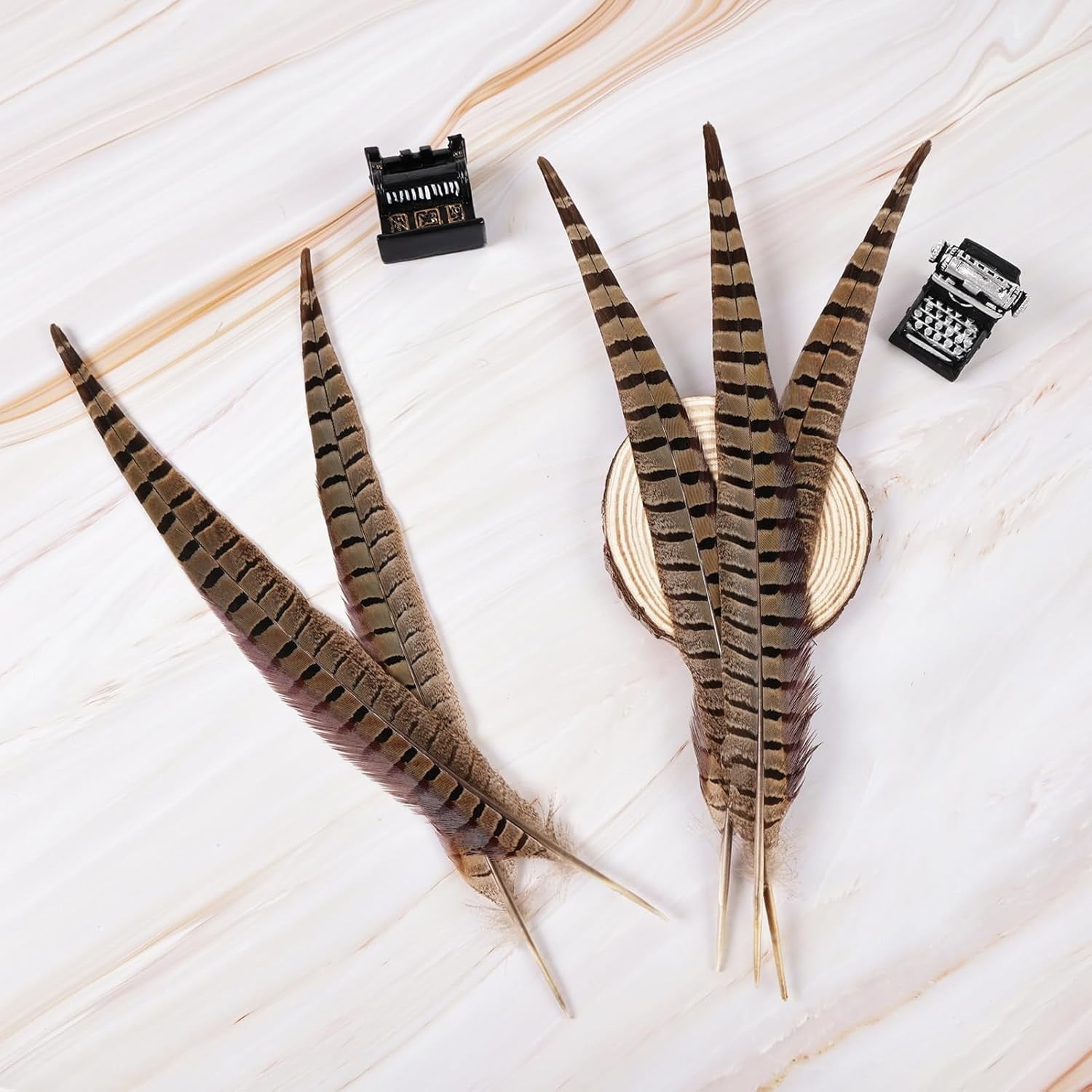 Neorosiri Natural Feathers Female Ringneck Pheasant Tails Feathers ...