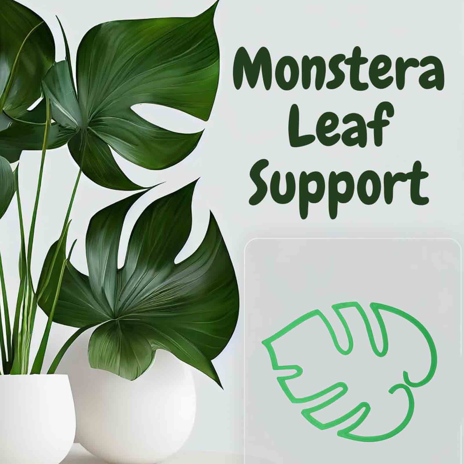 Neoyler Sturdy Leaf Plant Rack for Vertical Growth and Manageable Display Easy Installation ...