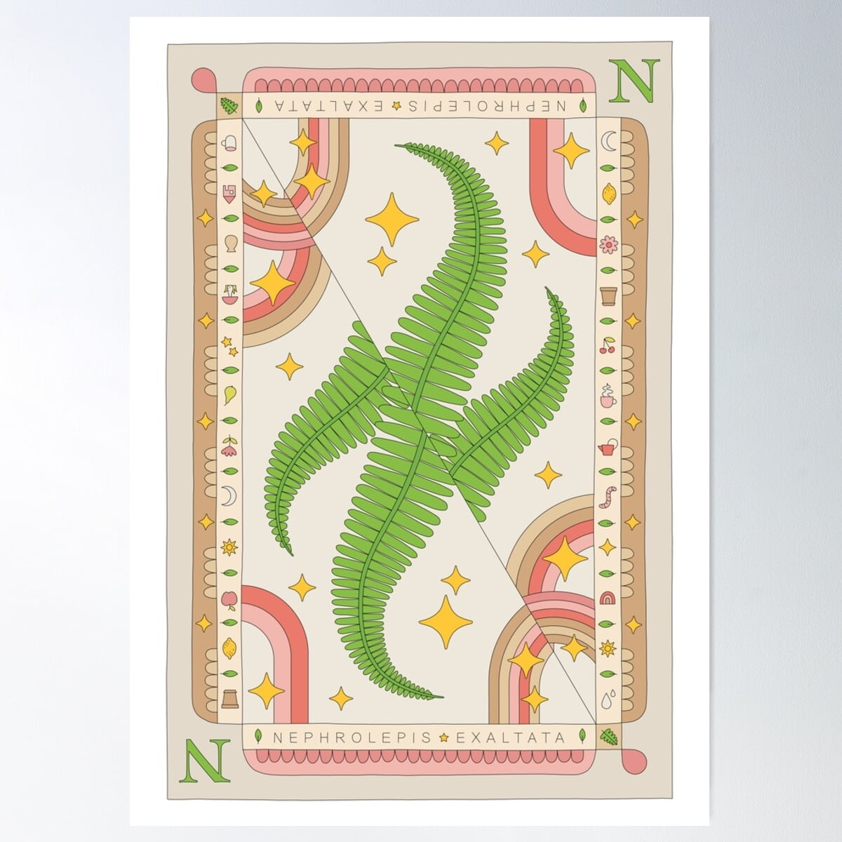 Nepholepis Exaltata Fern Plant Playing Card Boho Illustration Poster ...