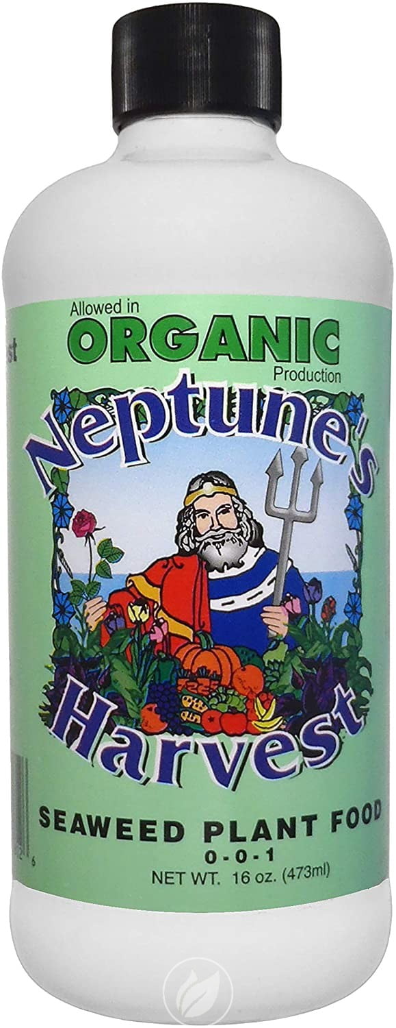 Neptune's Harvest Green Label Seaweed Fertilizer, 16 Oz, Ideal for ...