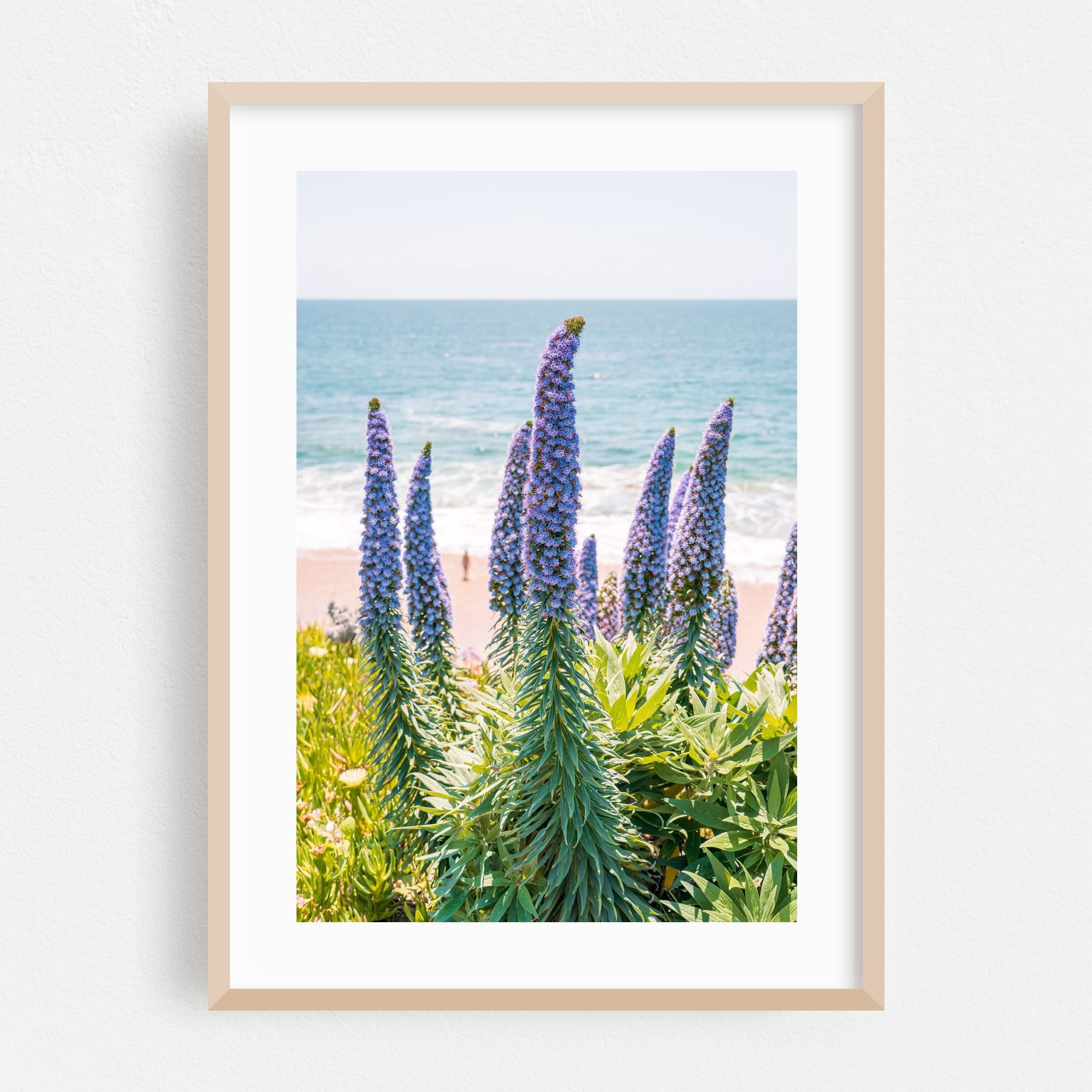 Neptune's Trident - California Photography Coastal Flowers Beach Ocean ...