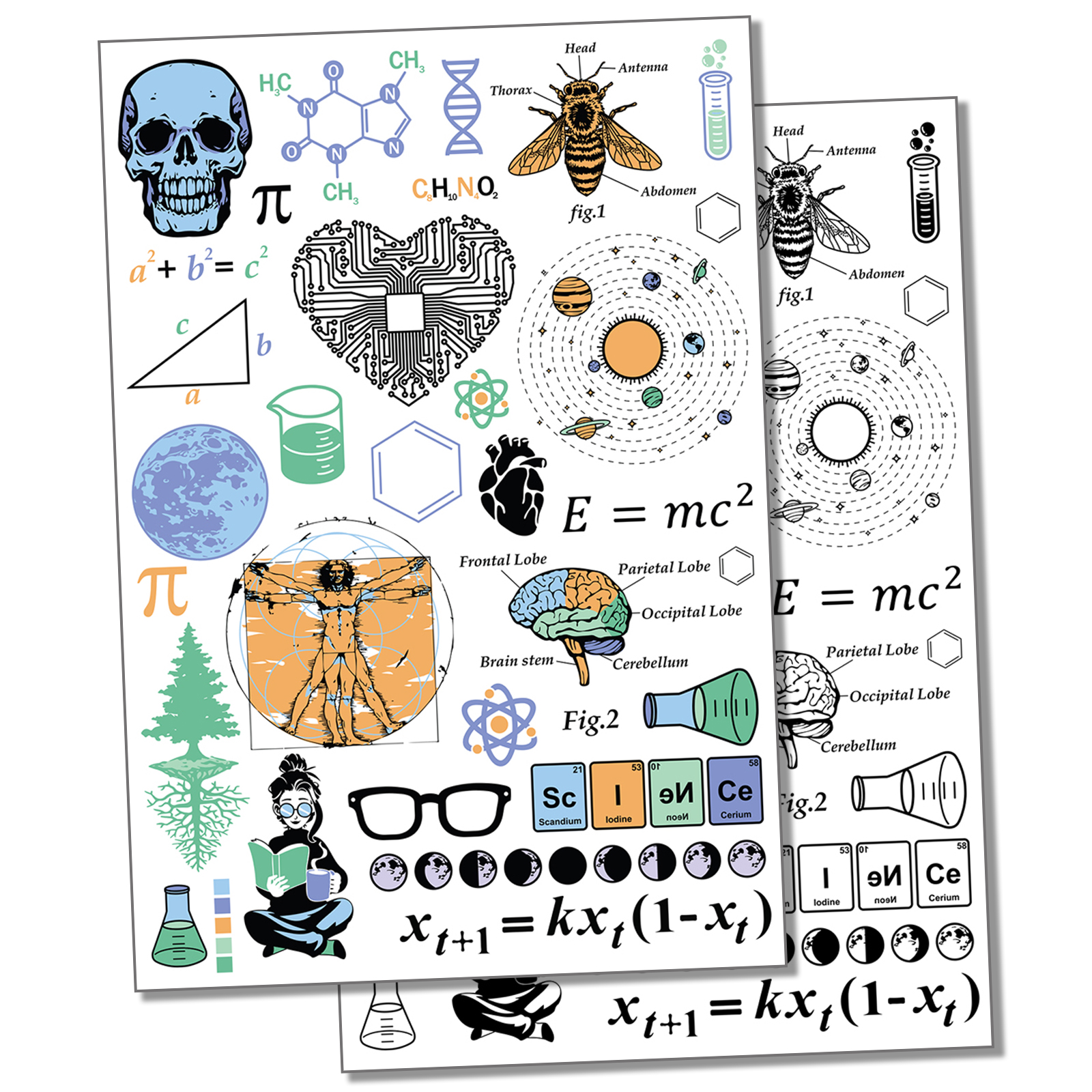 Nerdy Science Math Geek Water Resistant Temporary Tattoo Set Fake Body ...