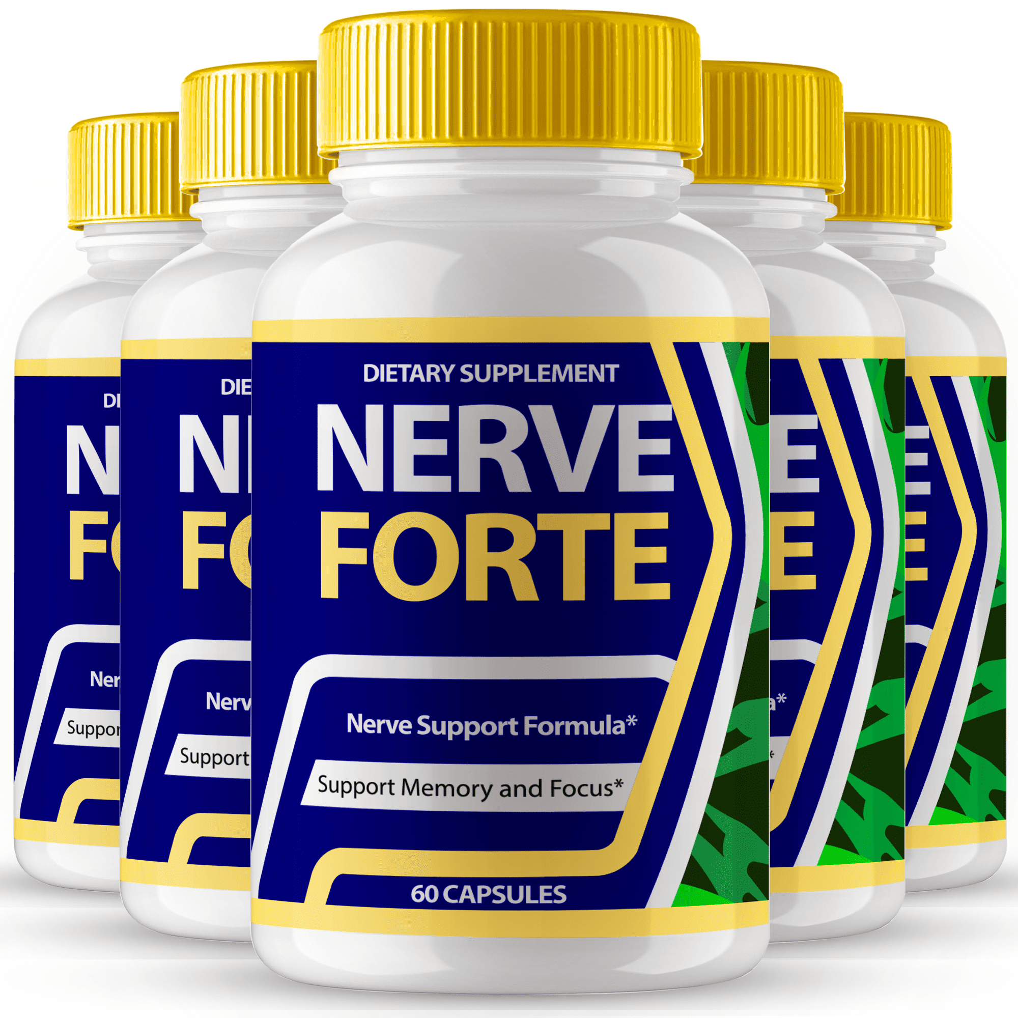 Nerve Forte Brain Supplements for Memory and Focus Capsules, NerveForte ...