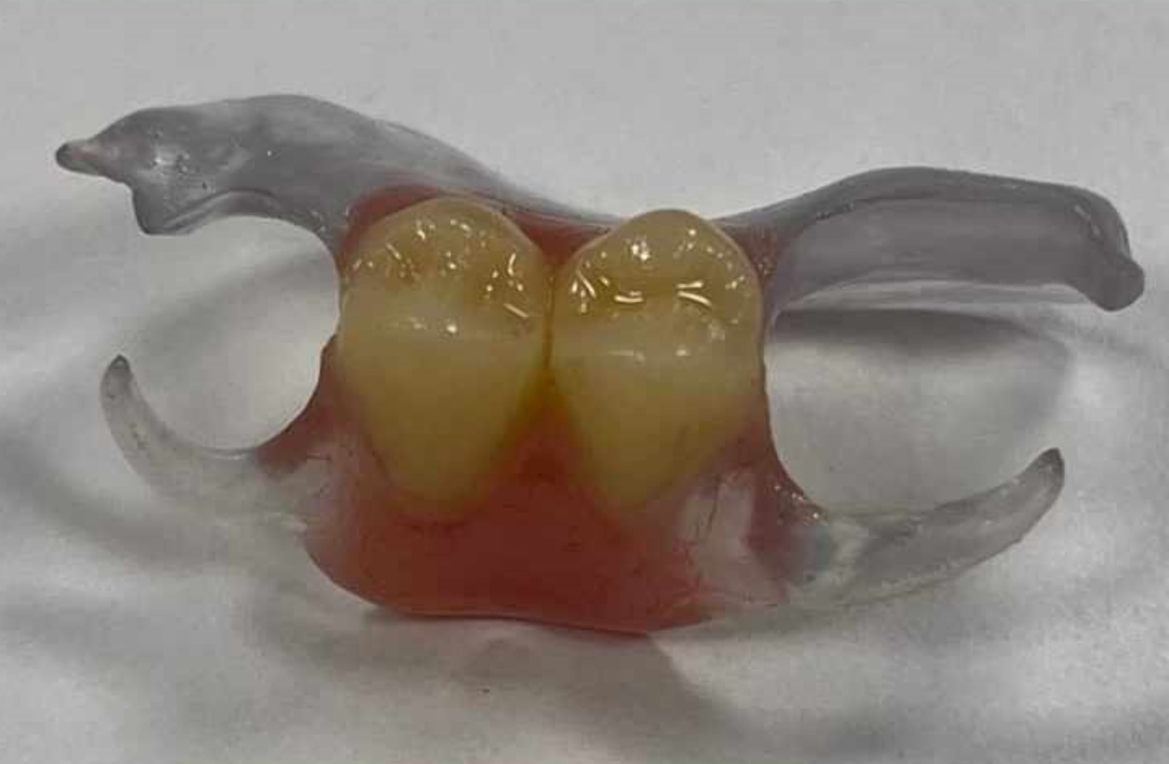 Nesbit | Partial Denture - Walmart.com