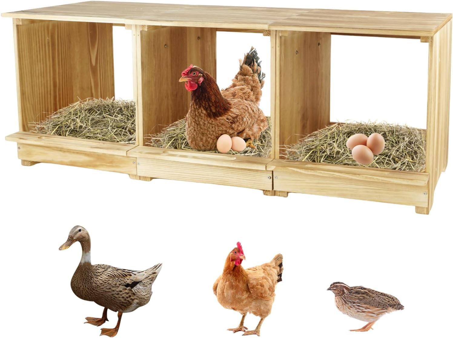 Nesting Boxes for Chickens 3 Compartments Wall Mount Nest Box for ...