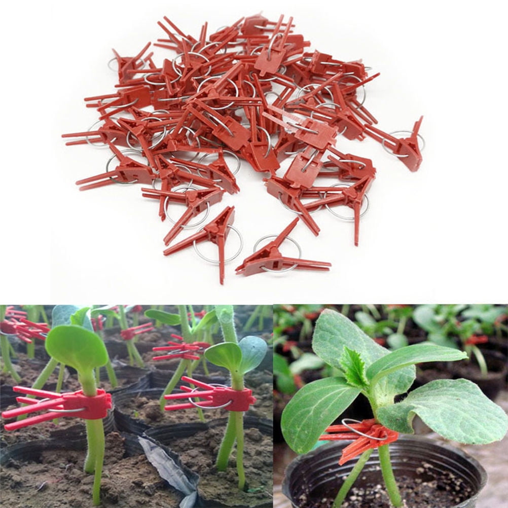 Nestingho 150 Pieces Seedling Grafting Clips for Tomato Grafting 3 ...