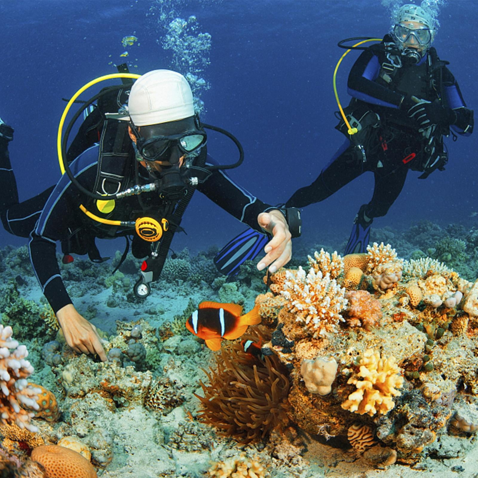 Nestingho 1Pack Anti-Fog Wide-View Swimming Goggle Black Silicone Glass ...