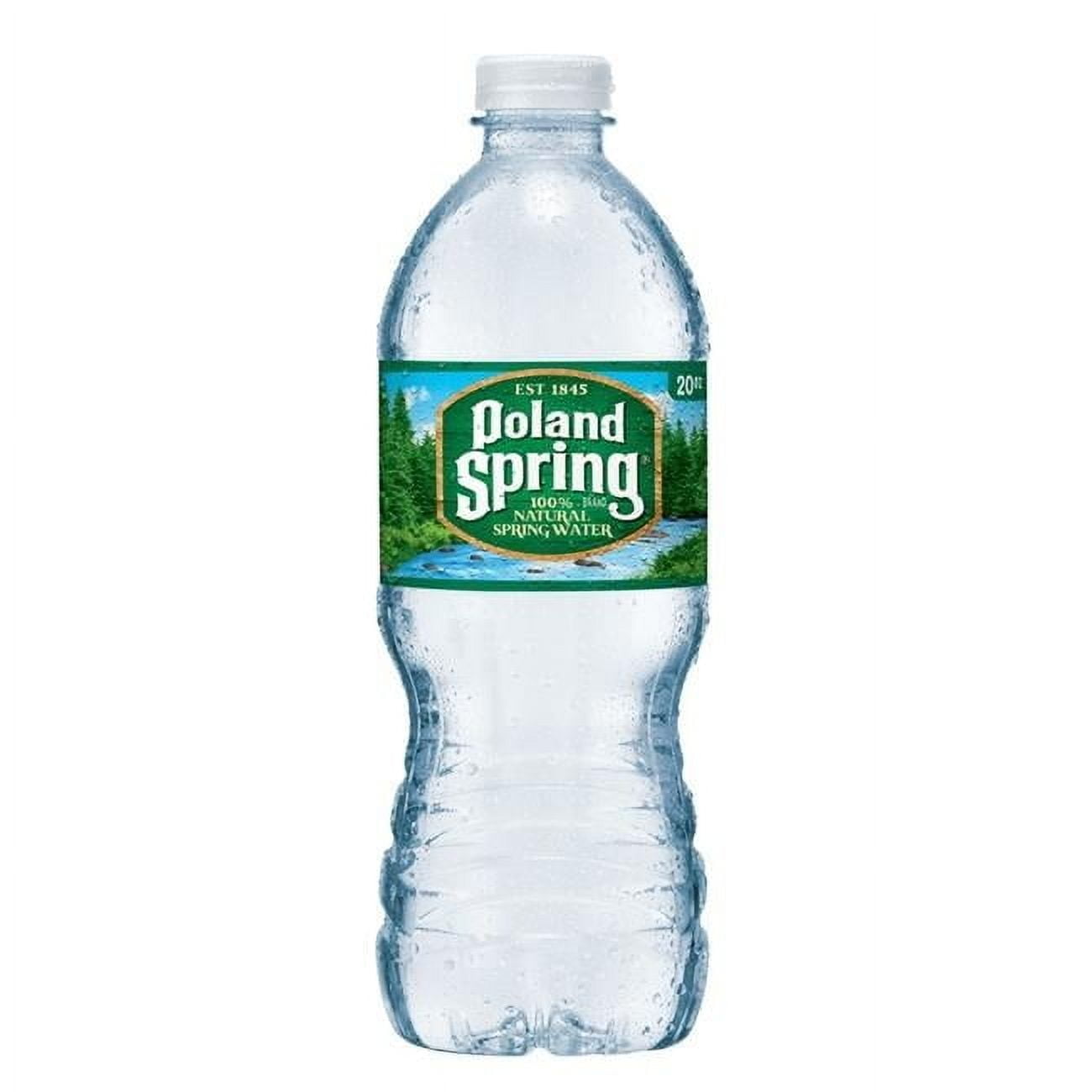 Nestle Waters 20 oz Poland Springs Spring Water - Pack of 24 - Walmart.com