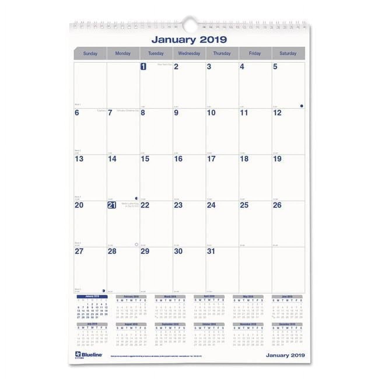 Net Zero Carbon Monthly Wall Calendar for 2019, 17 x 12 in. - White ...