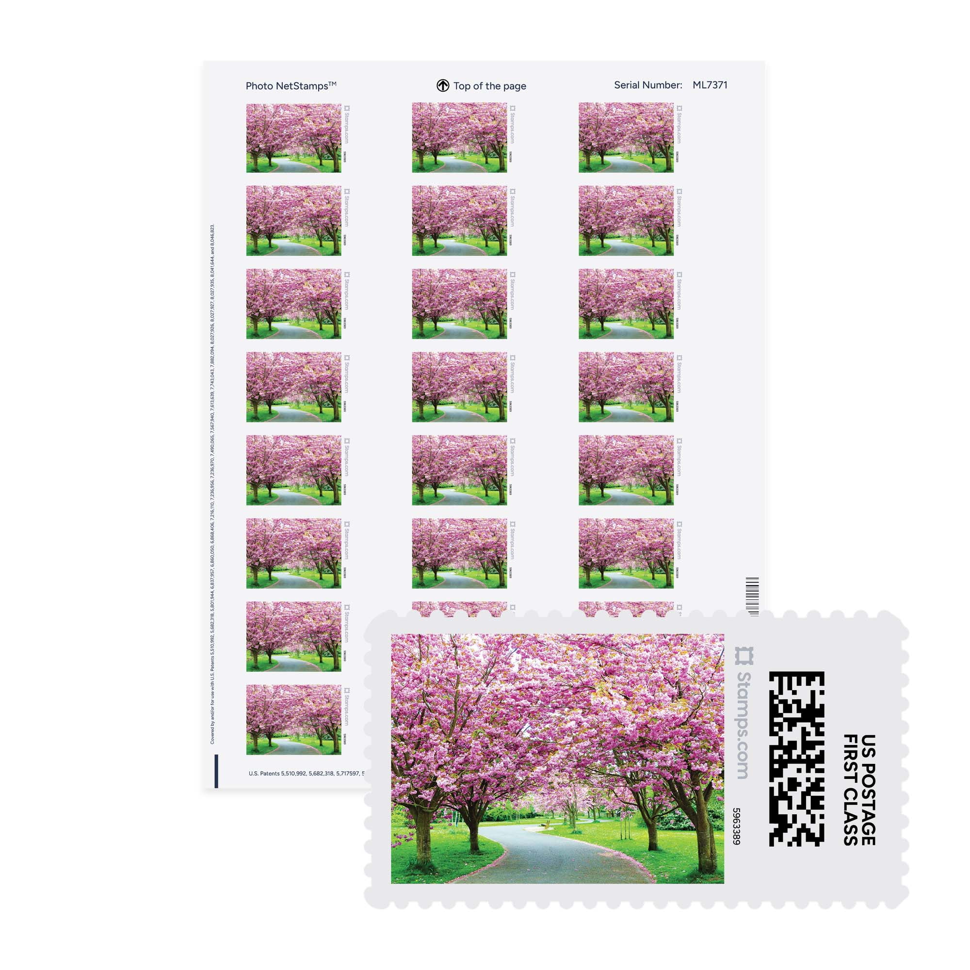 Cherry Blossom NetStamps 120 ct - Blank Postage Labels - Stamps.com ...