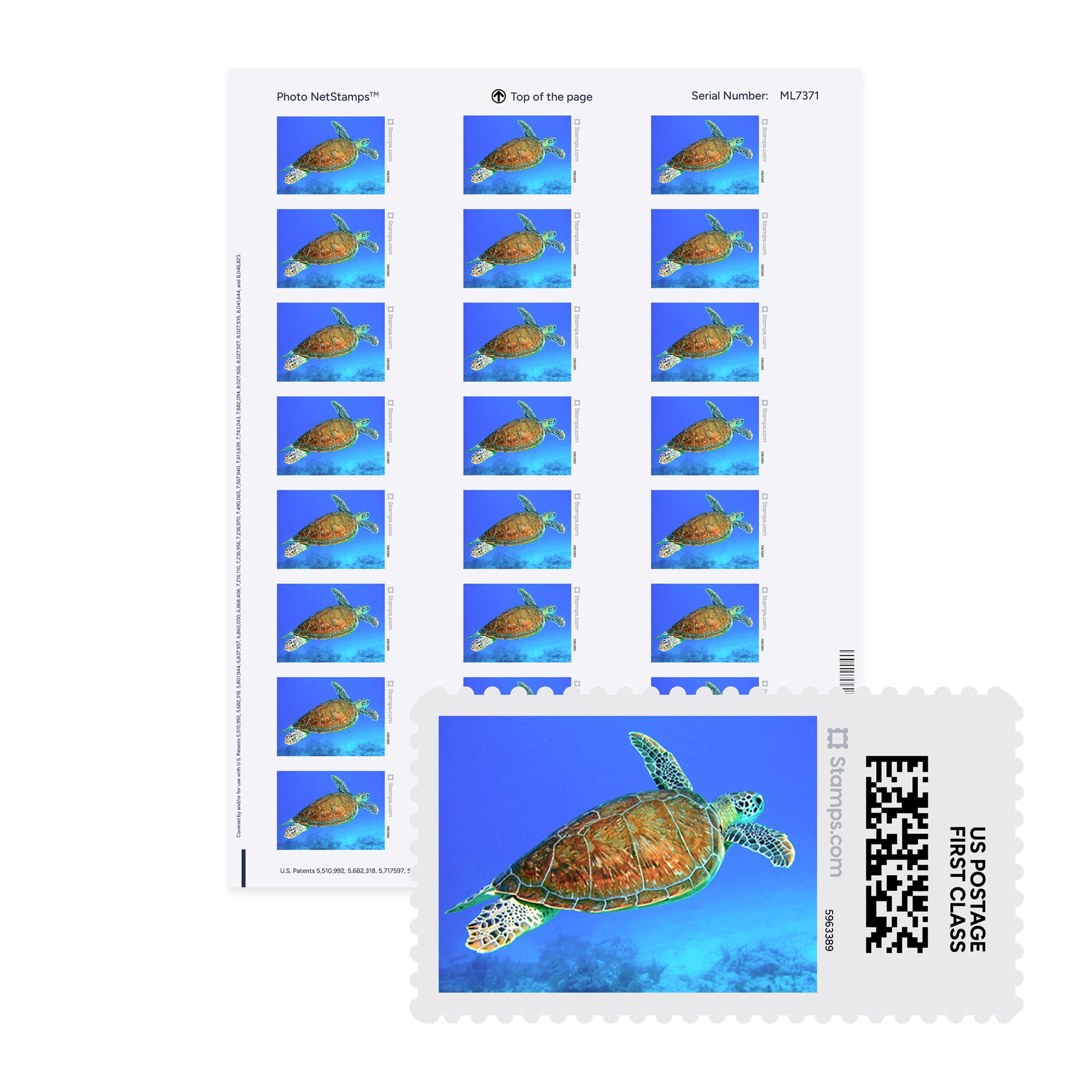 Turtle NetStamps 1200 ct - Blank Postage Labels - Stamps.com - NOT ...