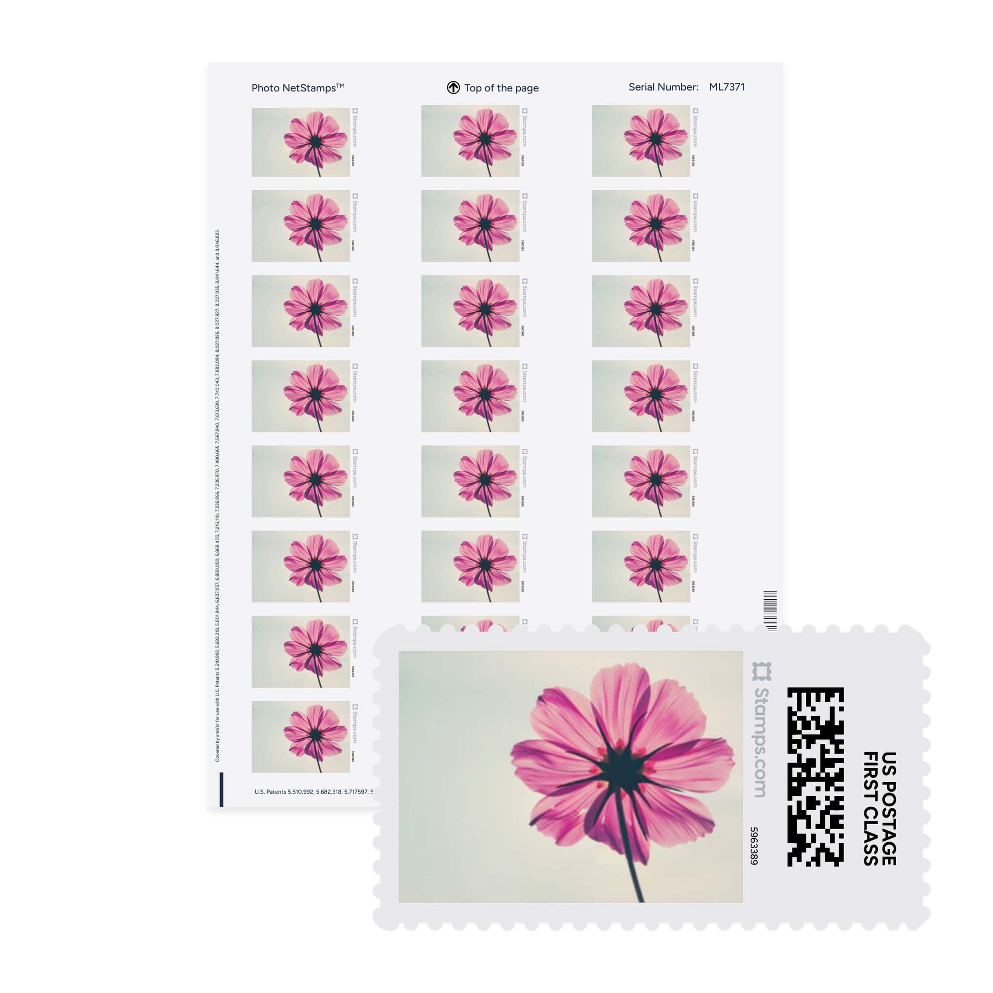Pink Cosmos NetStamps 120 ct - Blank Postage Labels - Stamps.com - NOT ...