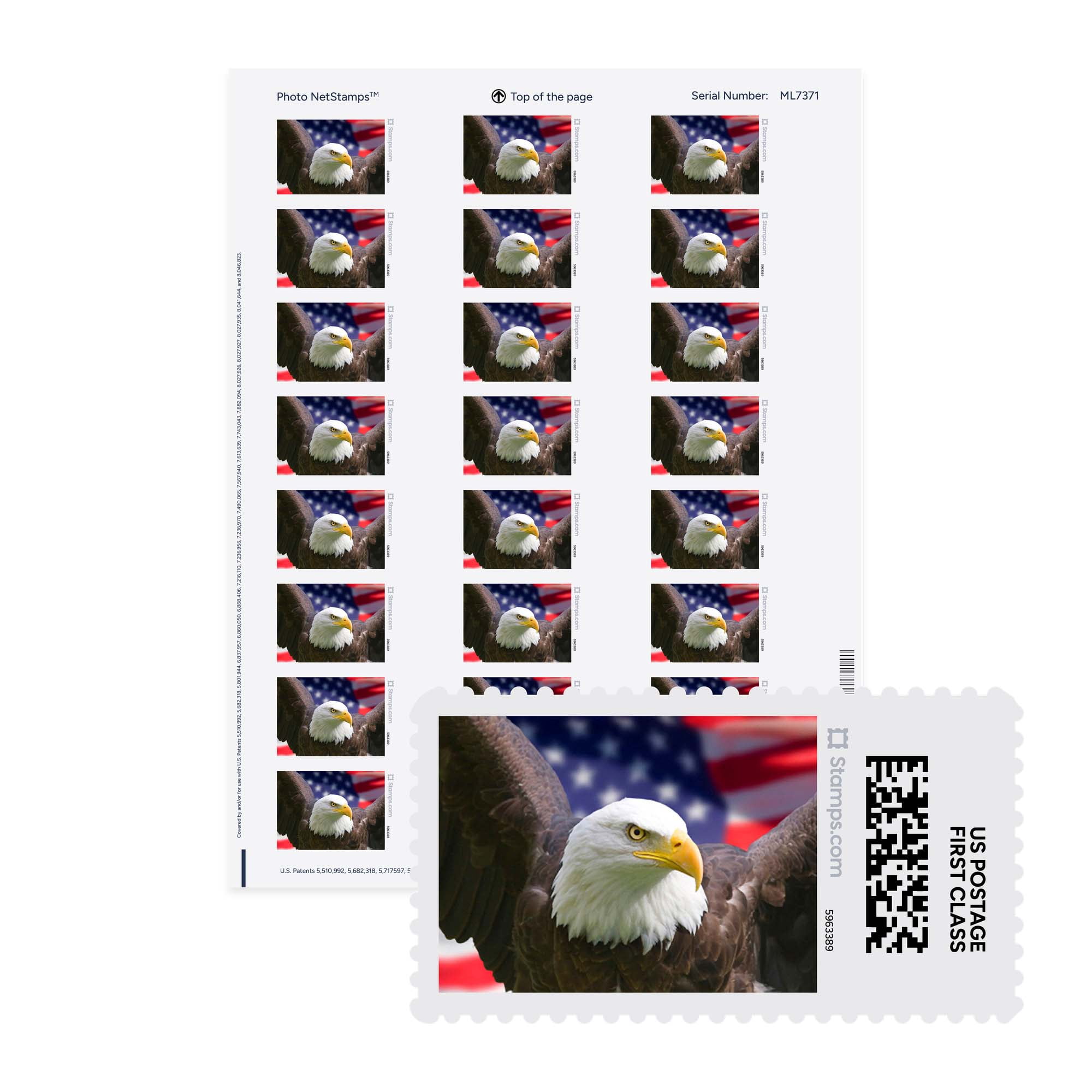 Soaring Eagle NetStamps 120 ct - Blank Postage Labels - Stamps.com ...