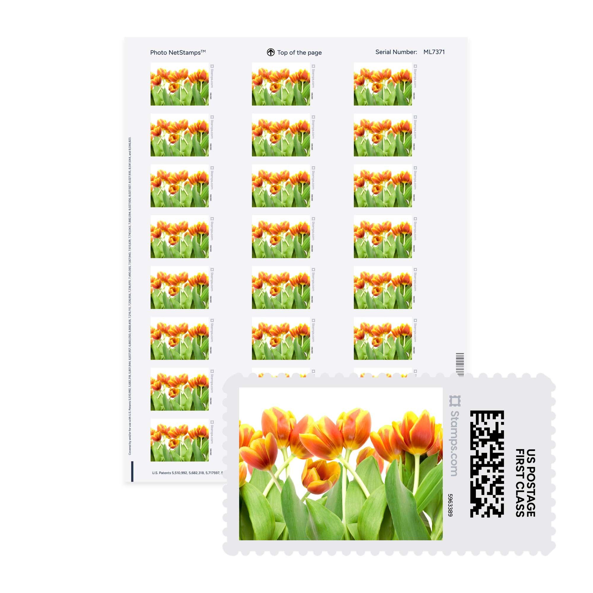 Spring Blossom NetStamps 120 ct - Blank Postage Labels - Stamps.com ...