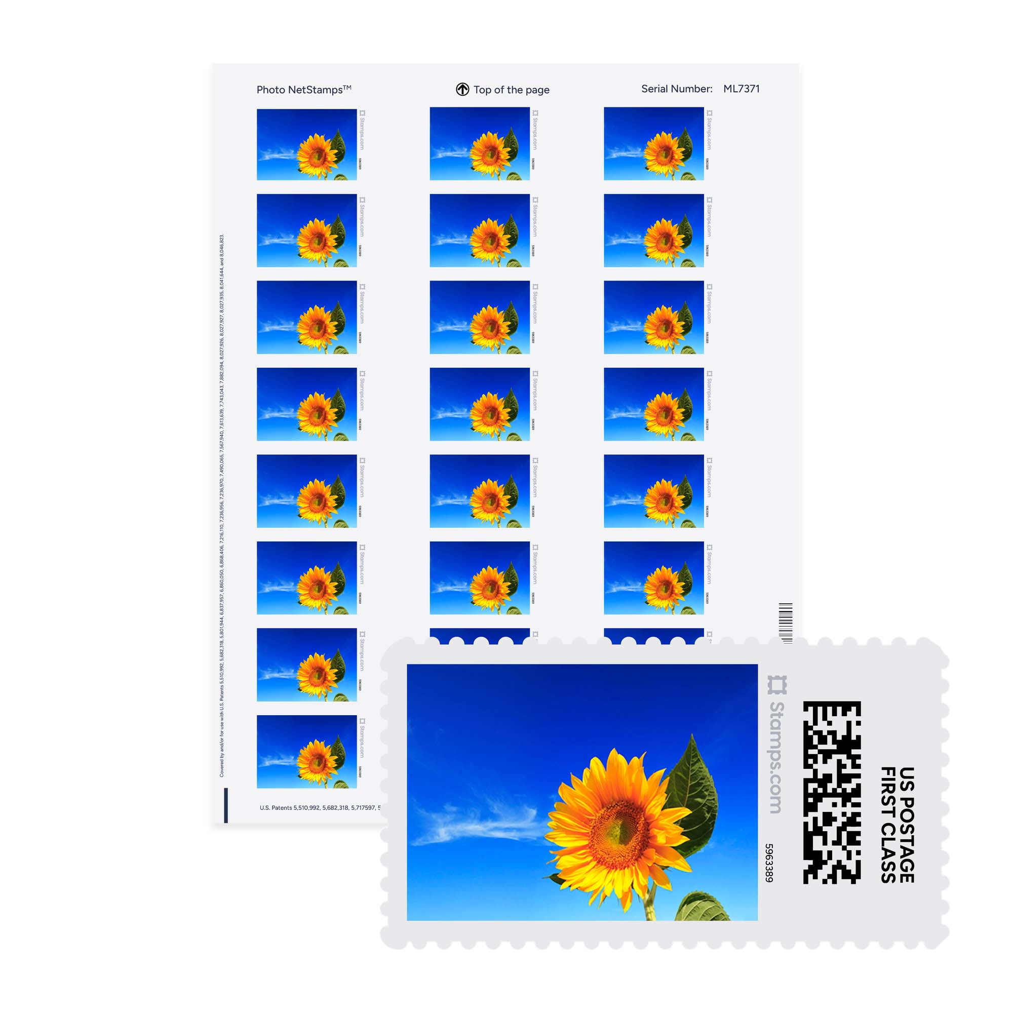 Sunflower NetStamps 120 ct - Blank Postage Labels - Stamps.com - NOT ...