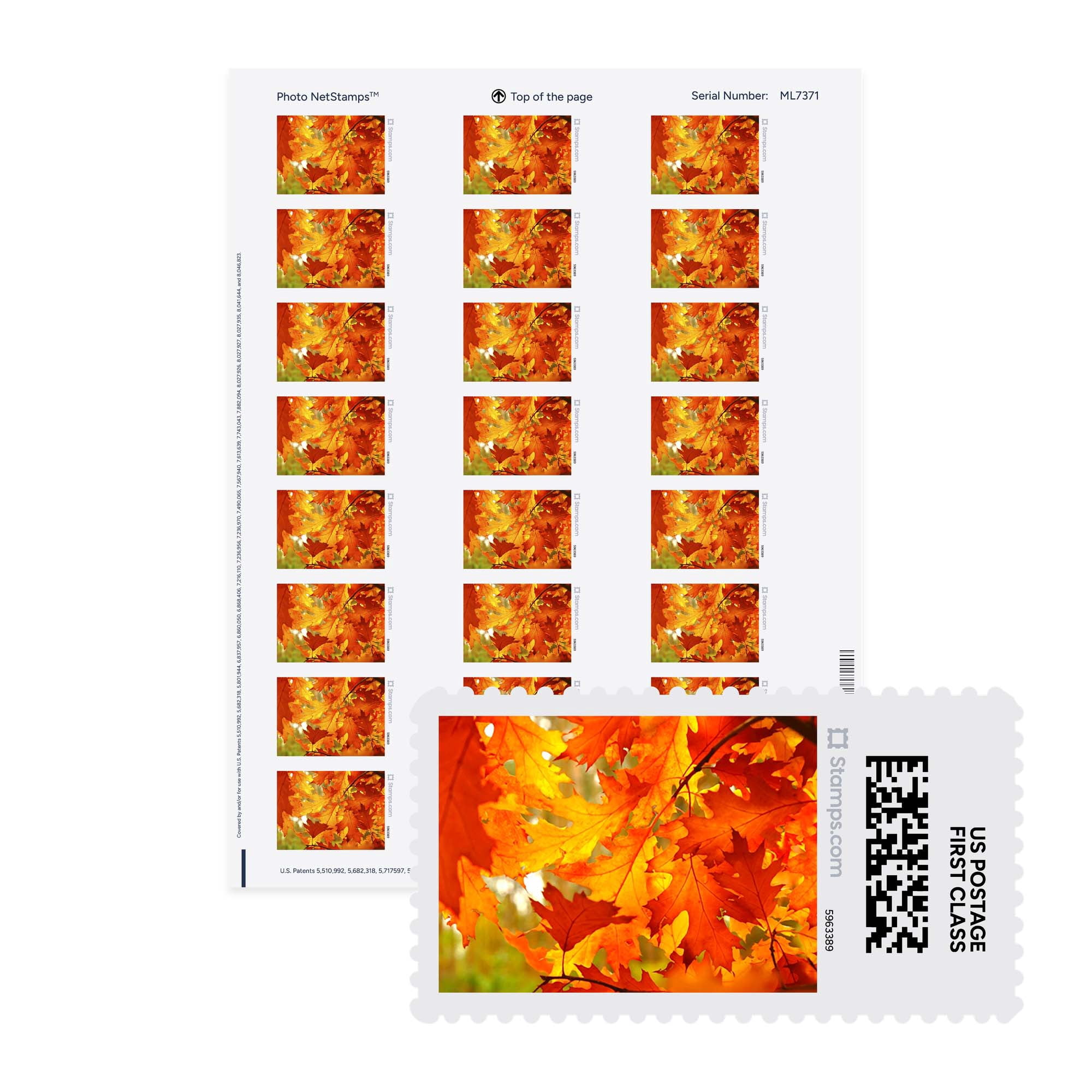 Turning Leaves NetStamps 1200 ct - Blank Postage Labels - Stamps.com ...