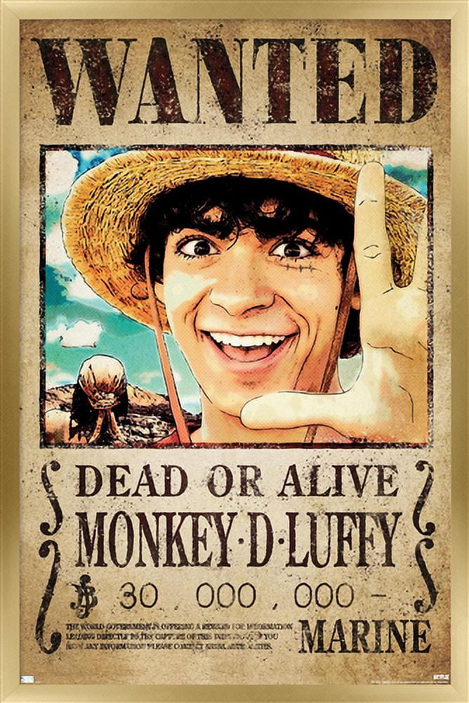 Netflix One Piece - Luffy Wanted Wall Poster, 14.725" x 22.375" Framed ...