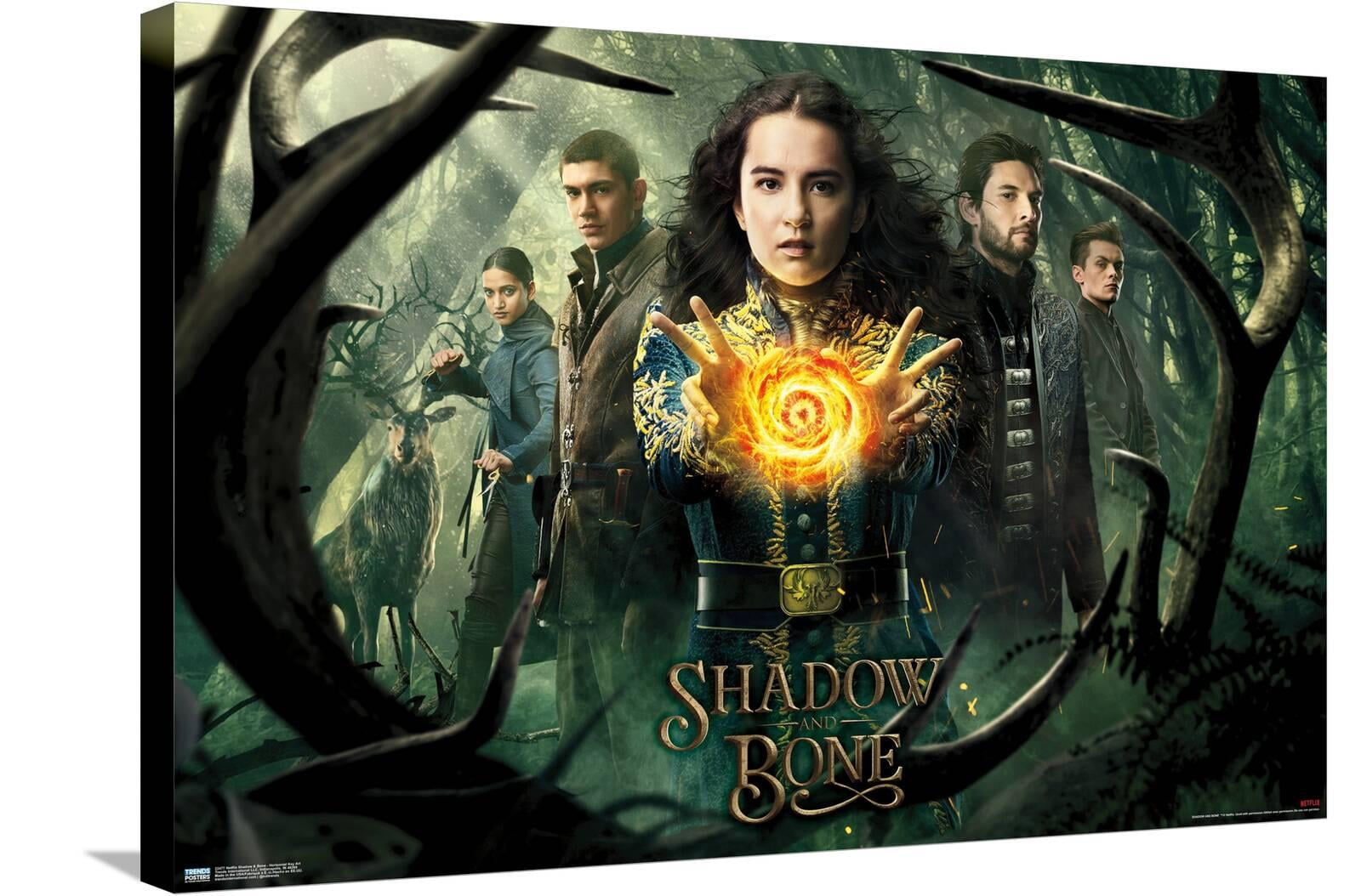 Netflix Shadow & Bone - Horizontal Key Art Canvas Wall Poster, 22.375 ...