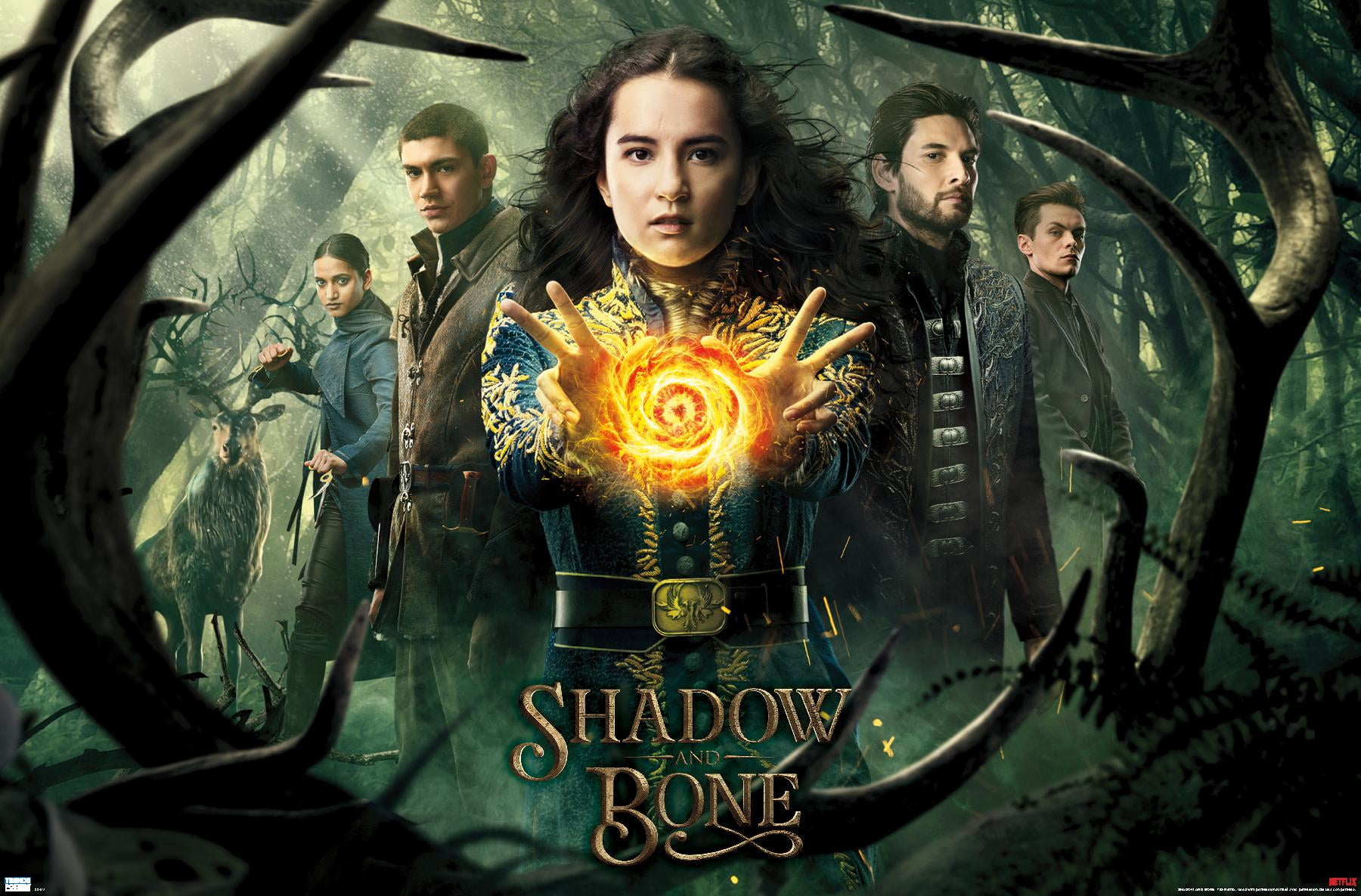 Netflix Shadow & Bone - Horizontal Key Art Wall Poster, 22.375" x 34 ...