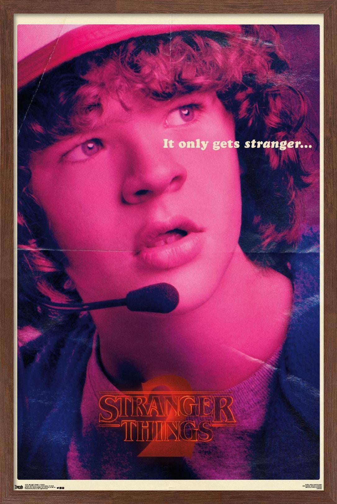 Netflix Stranger Things: Season 2 - Dustin Wall Poster, 22.375" x 34 ...