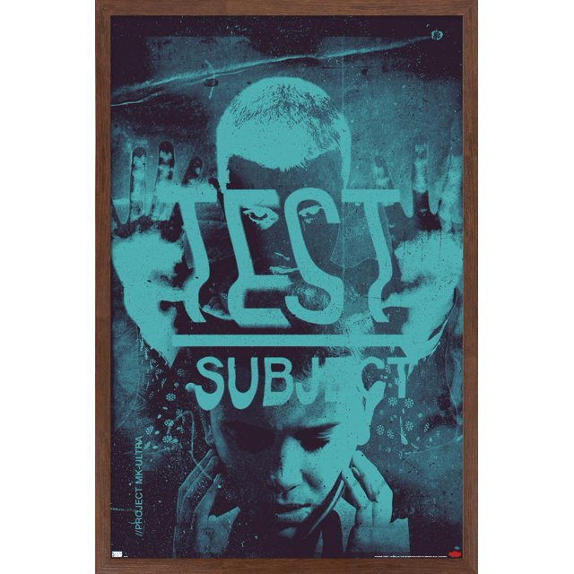Netflix Stranger Things: Season 4 - Test Subject Wall Poster, 14.725" x ...