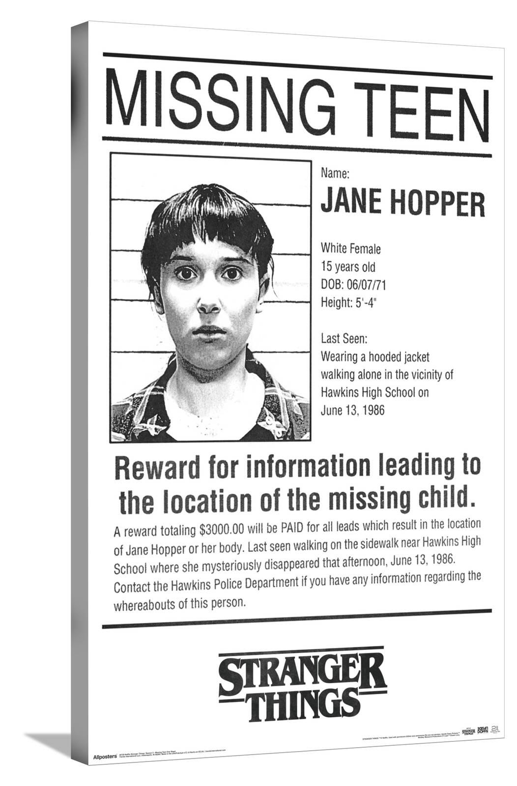 Netflix Stranger Things: Season 5 - Missing Teen One Sheet Canvas Wall ...