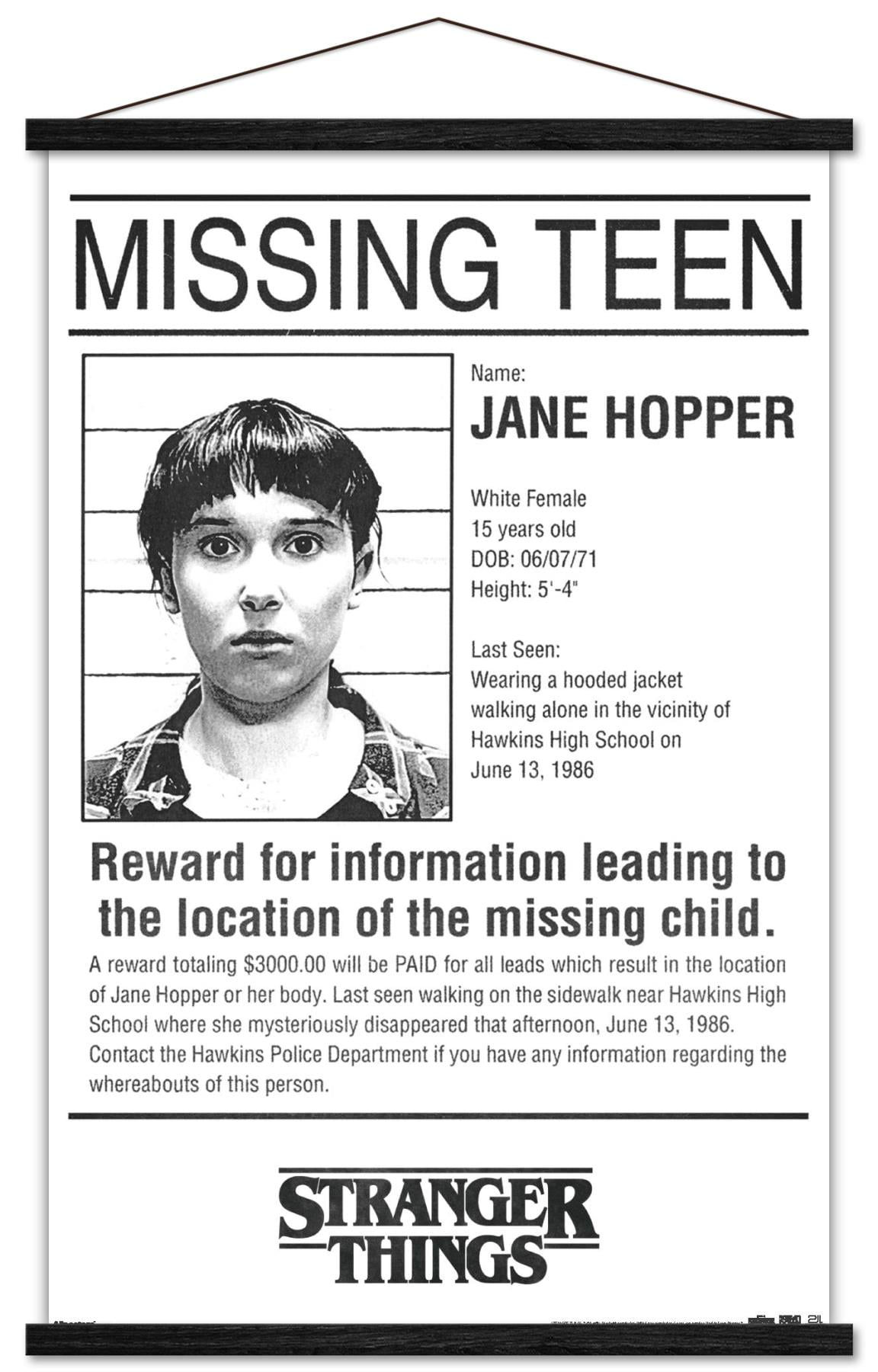 Netflix Stranger Things: Season 5 - Missing Teen One Sheet Wall Poster ...