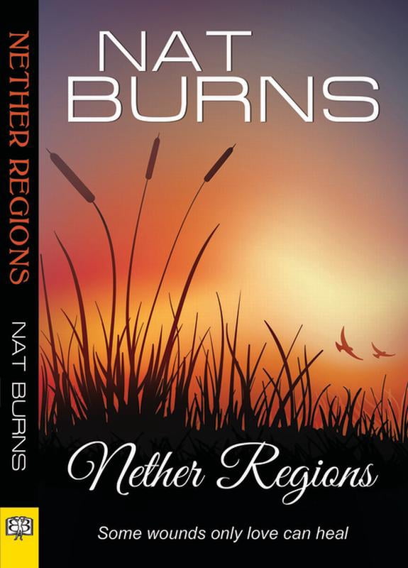 Nether Regions (Paperback) by Nat Burns - Walmart.com