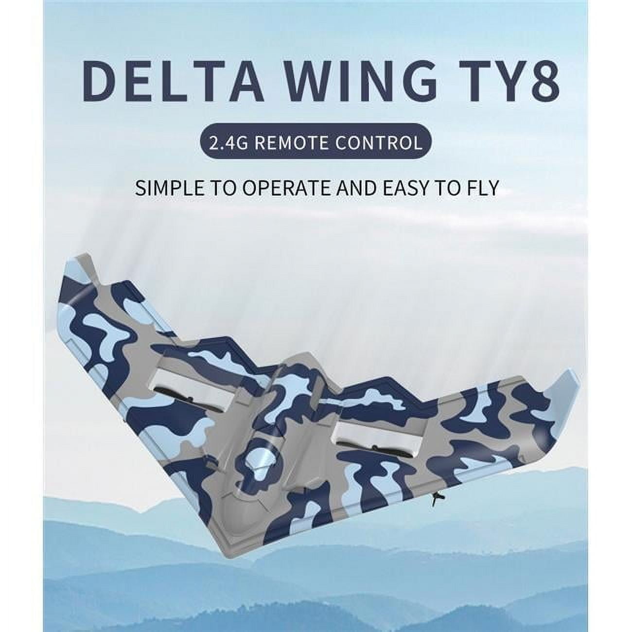 Netjett NT31022 2.4 GHz Remote-controlled Fixed-wing UAV Fighter EPP ...