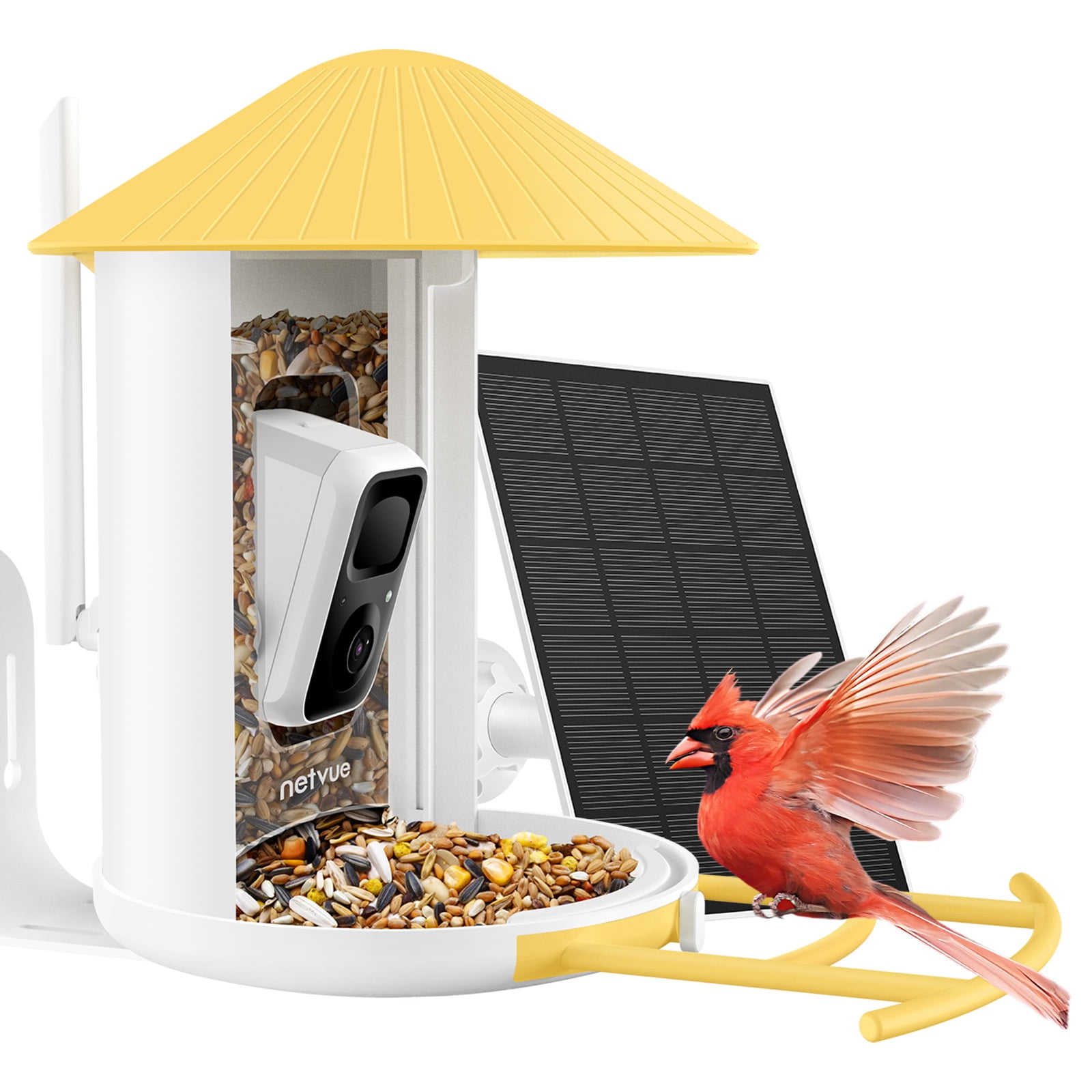Birdkiss Smart Bird Feeder with Camera, Metal Squirrel Proof Bird ...