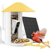 Bird Buddy Solar Powered Bird Feeder with Camera & AI Species Detection ...